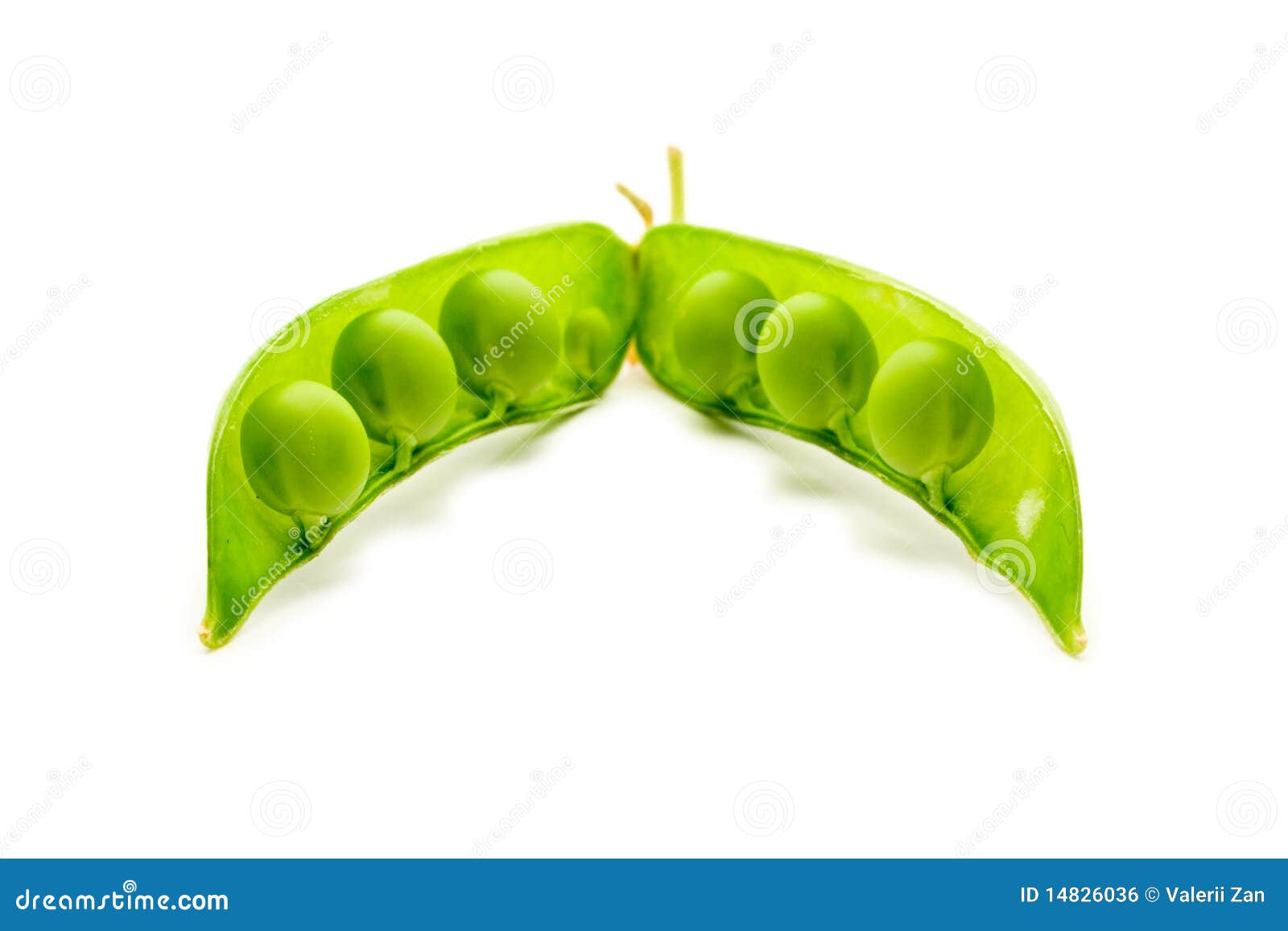 Erwt stock foto. Image of installatie, gewas, sluit, korrel - 14826036