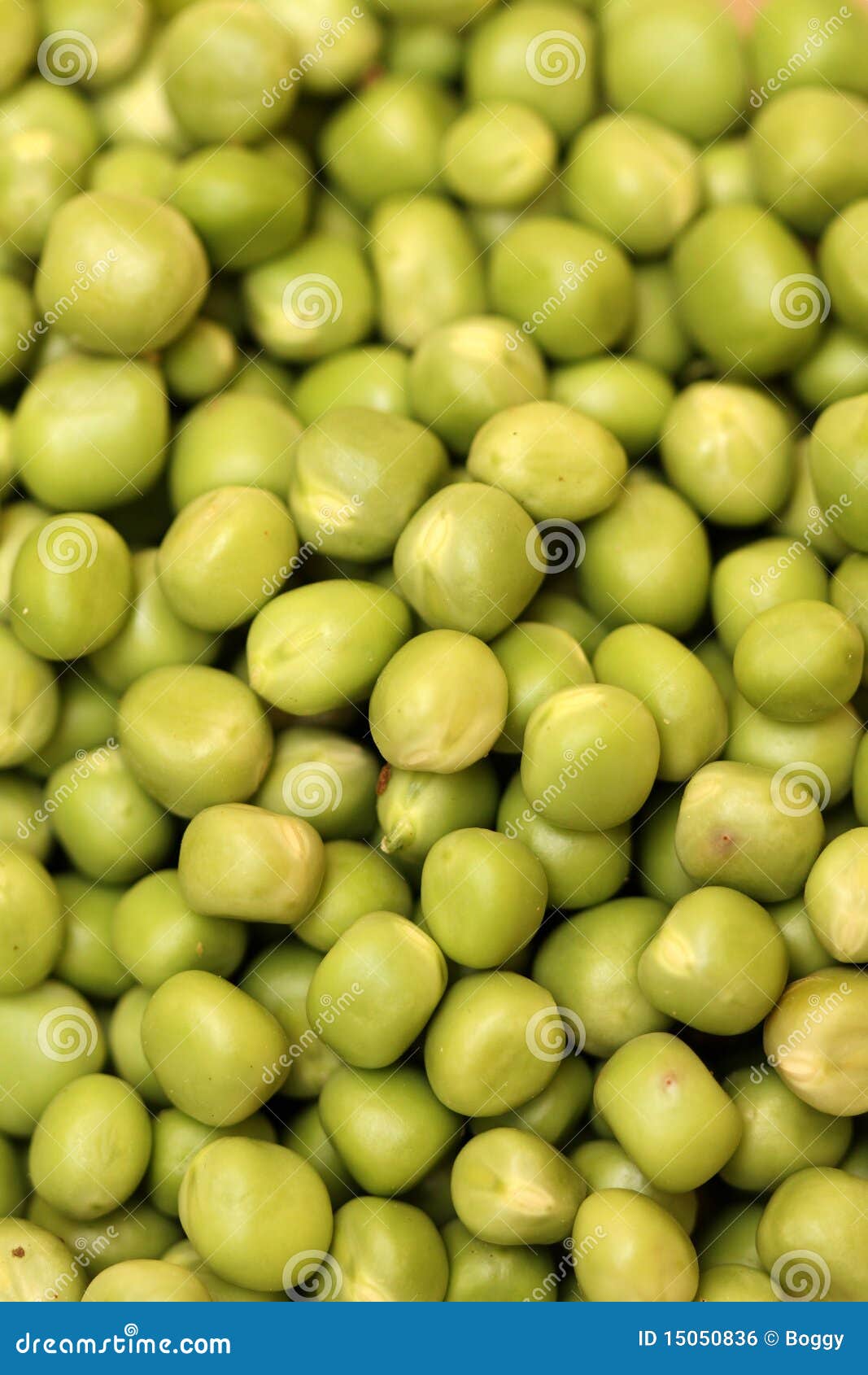 Erwt stock foto. Image of gezond, peul, versheid, erwt - 15050836