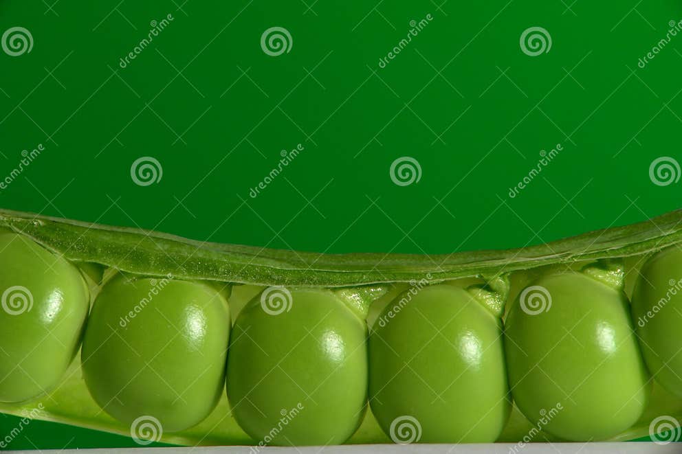 Erwt stock foto. Image of voeding, dieet, gezond, achtergrond - 5475556