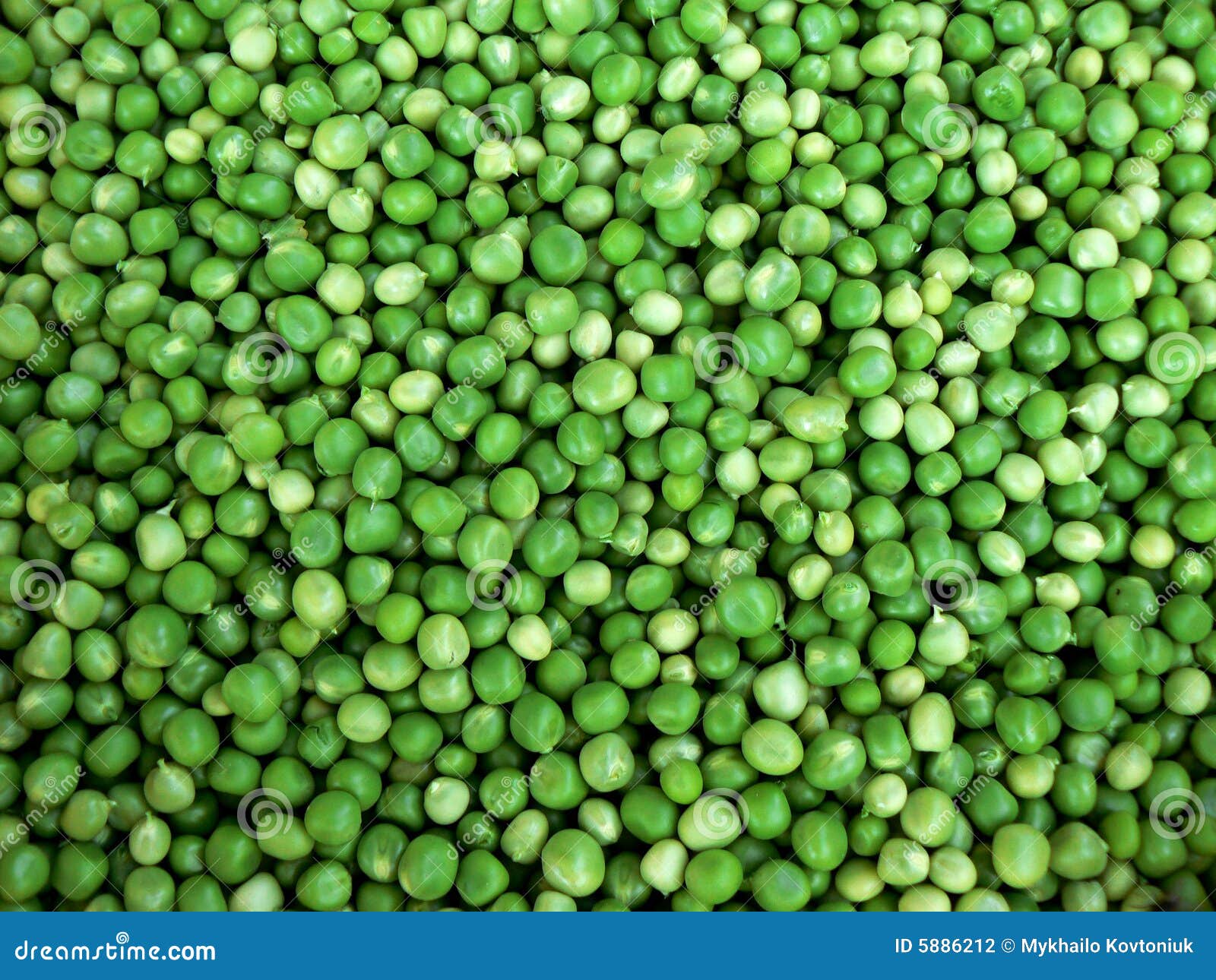 Erwt stock foto. Image of kromme, diëet, versheid, gewas - 5886212
