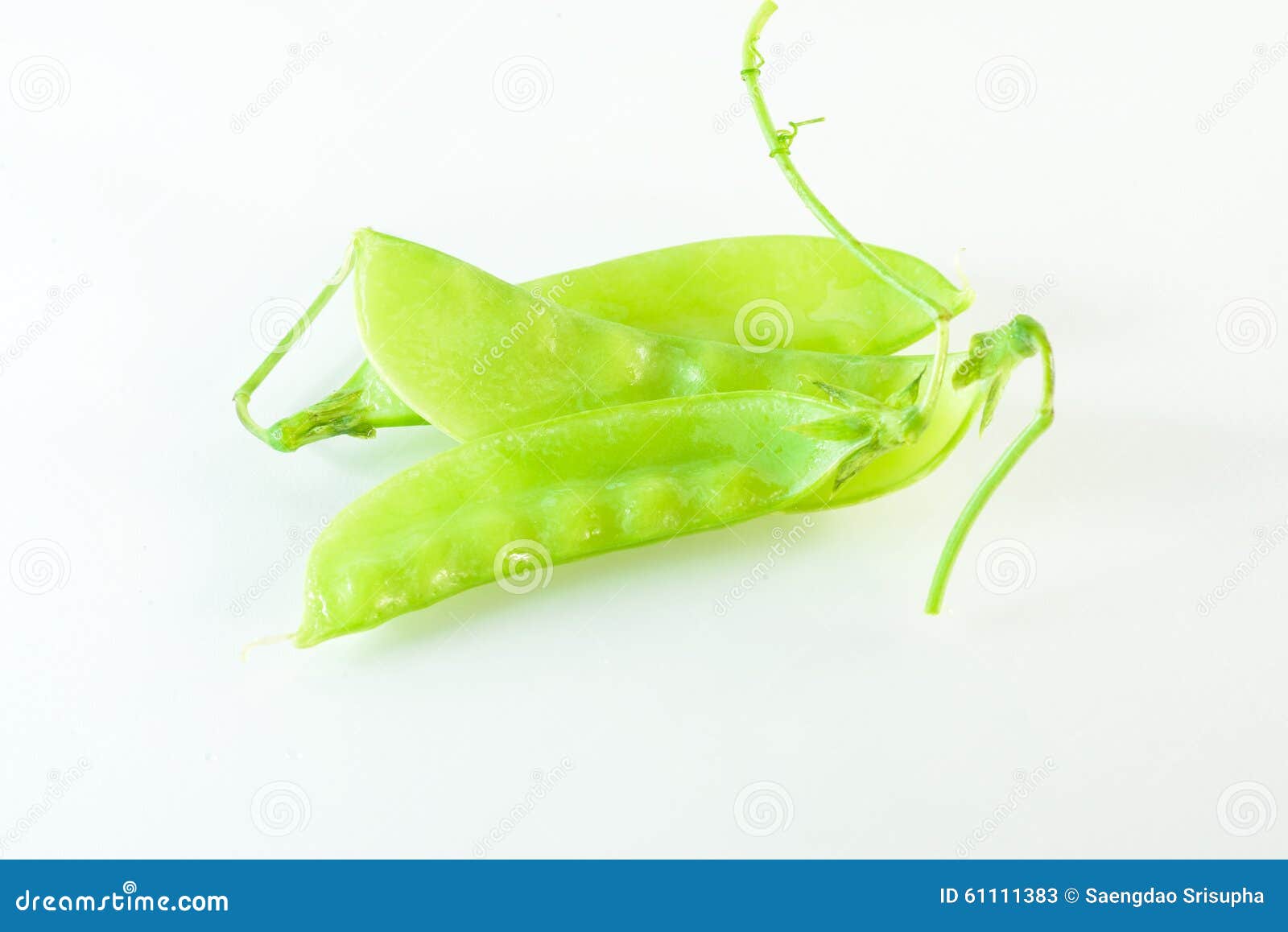 Erwt stock afbeelding. Image of organisch, groen, ingrediënt - 61111383