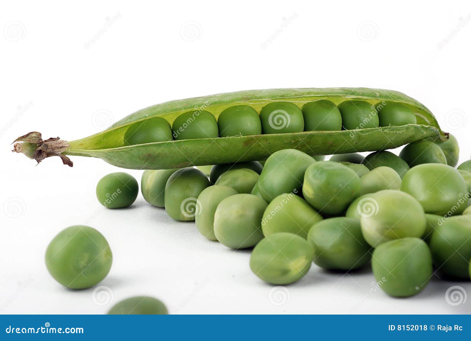 Erwt stock foto. Image of sluit, vers, macro, rijp, installatie - 8152018