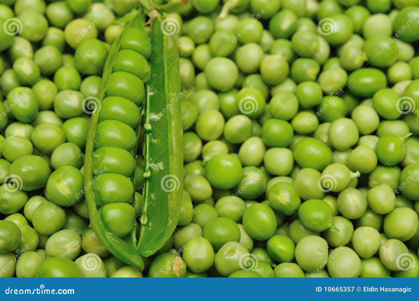 Erwten stock afbeelding. Image of tuin, vers, versheid - 10665357