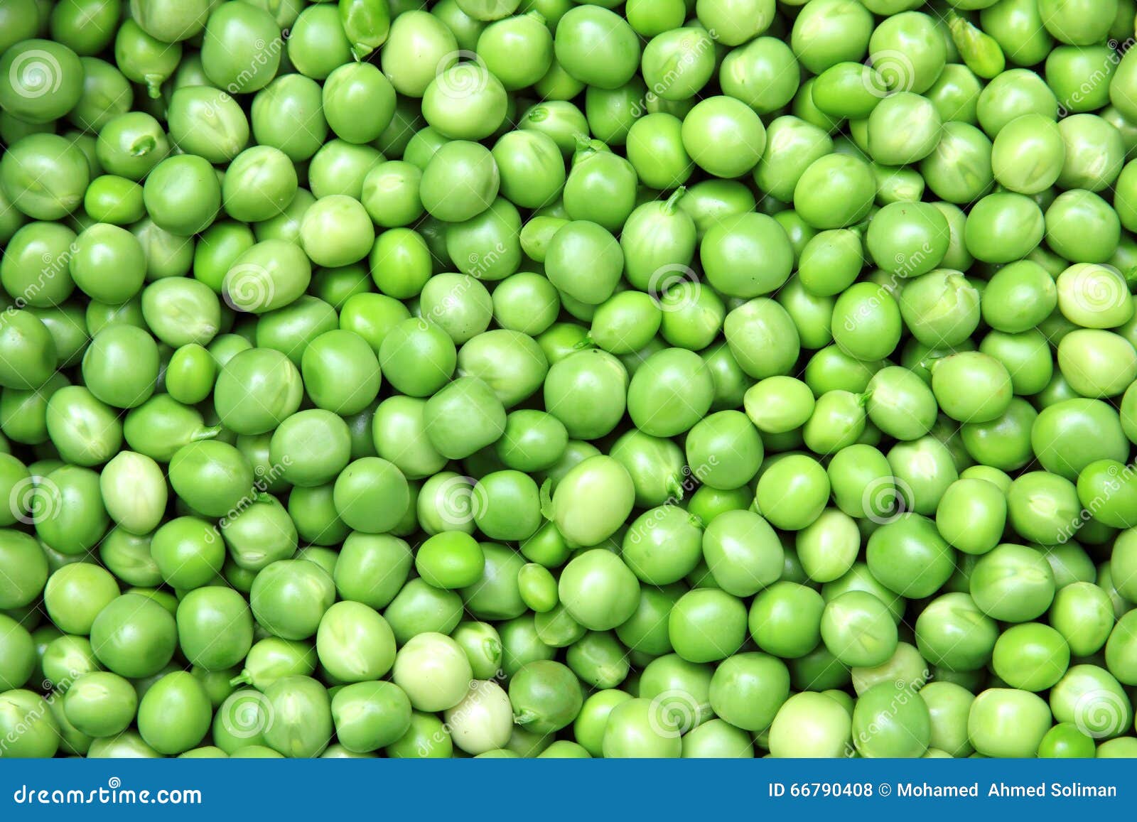 Erwten stock foto. Image of roestig, vers, velen, smakelijk - 66790408