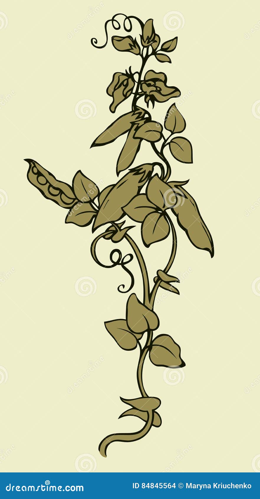 Erwten Vector tekening vector illustratie. Illustration of illustratie ...