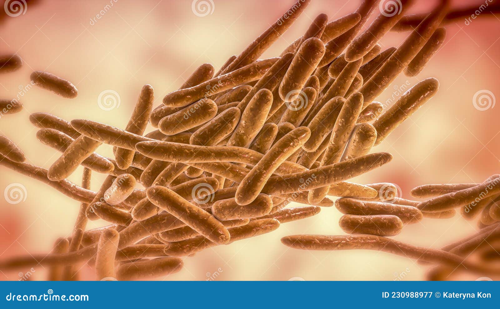 Pleomorphic. Bacteria Classification. Irregular Shapes Of Bacteria ...