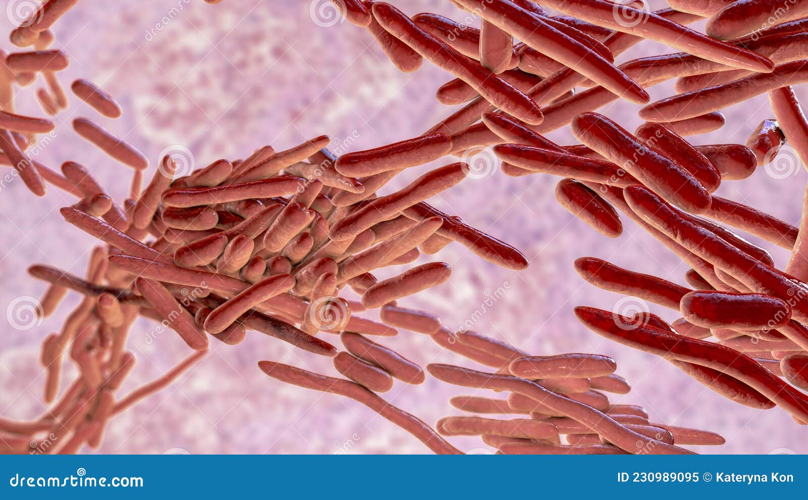 Erysipelothrix Bacteria, 3D Illustration Stock Illustration ...