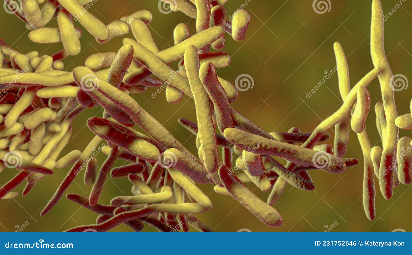 Erysipelothrix Bacteria, 3D Illustration Stock Illustration ...