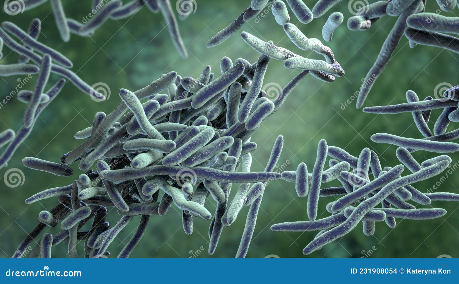 Pleomorphic. Bacteria Classification. Irregular Shapes Of Bacteria ...