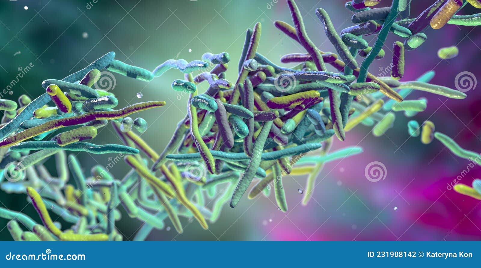 Erysipelothrix Bacteria, 3D Illustration Stock Illustration ...