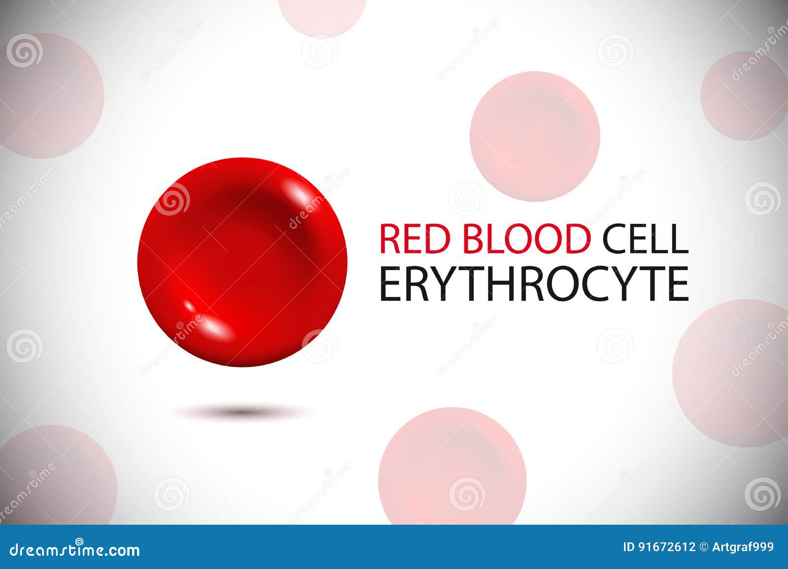 Erythrocyte. Red Blood Cell Logo Stock Illustration - Illustration of ...