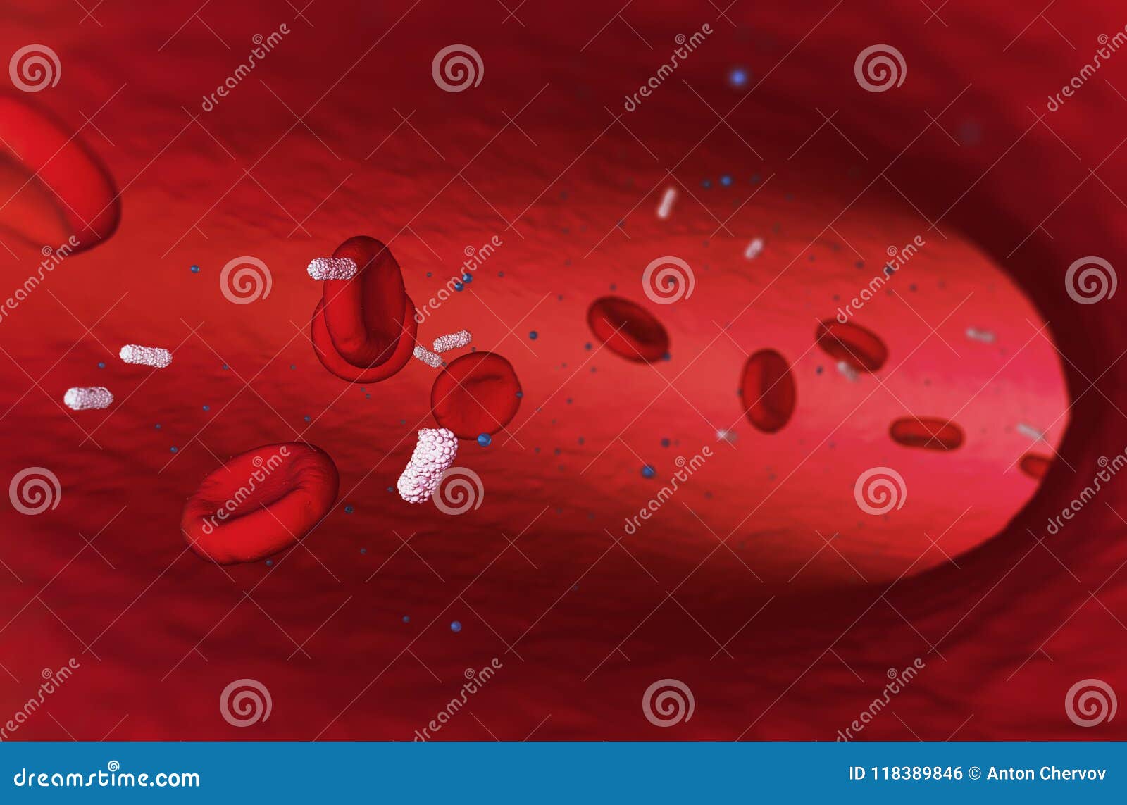 Erythrocyte Under a Microscope. Stock Illustration - Illustration of ...