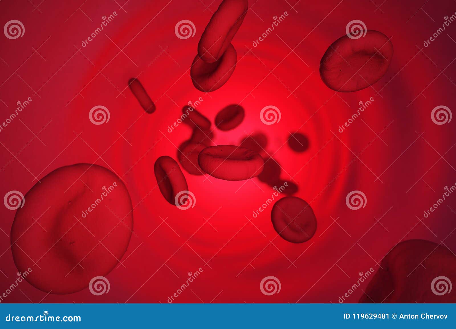 Erythrocyte Under a Microscope. Stock Illustration - Illustration of ...