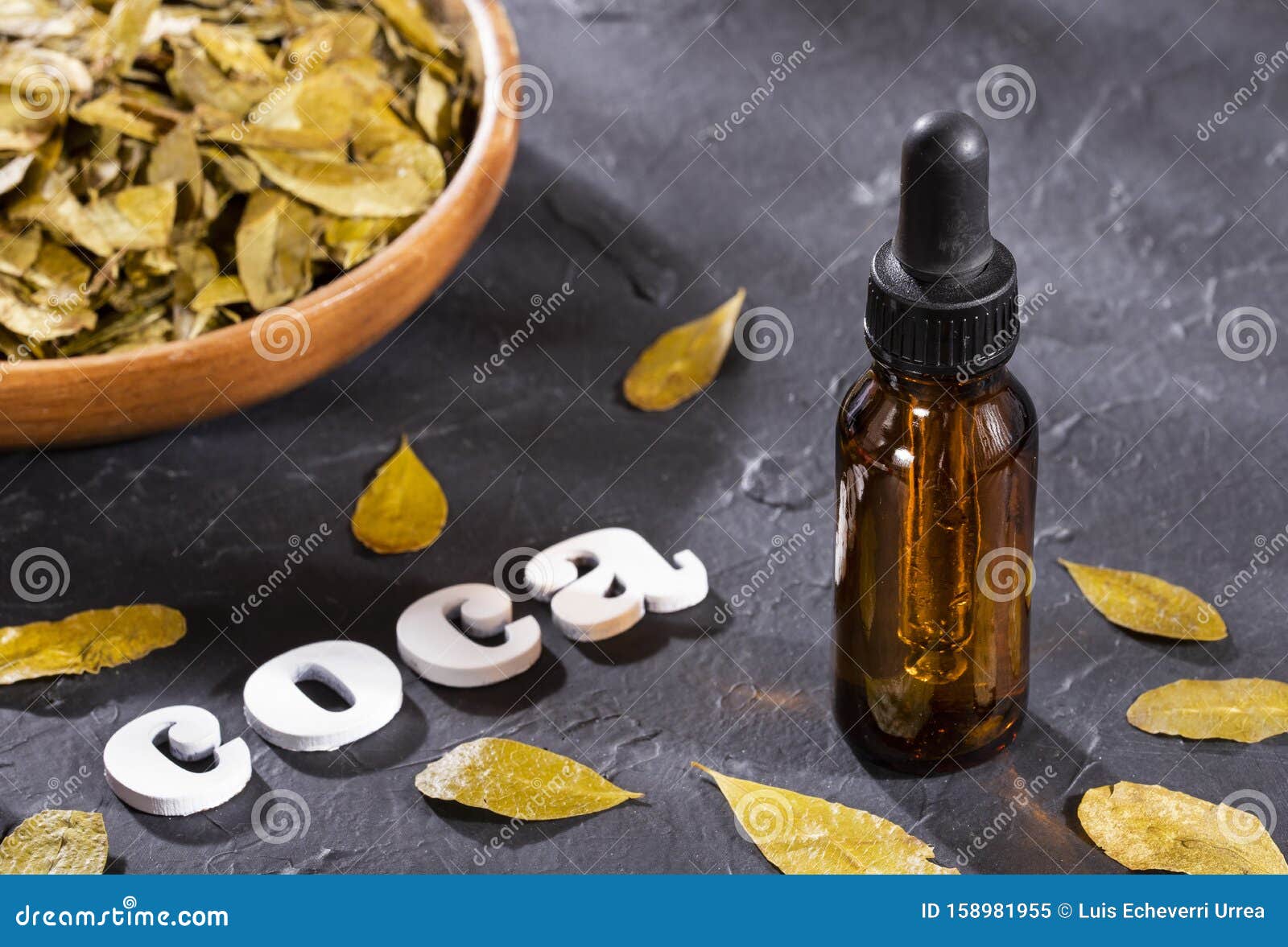 Homeopathic Coca Drops - Erythroxylum Coca Stock Image - Image of title ...