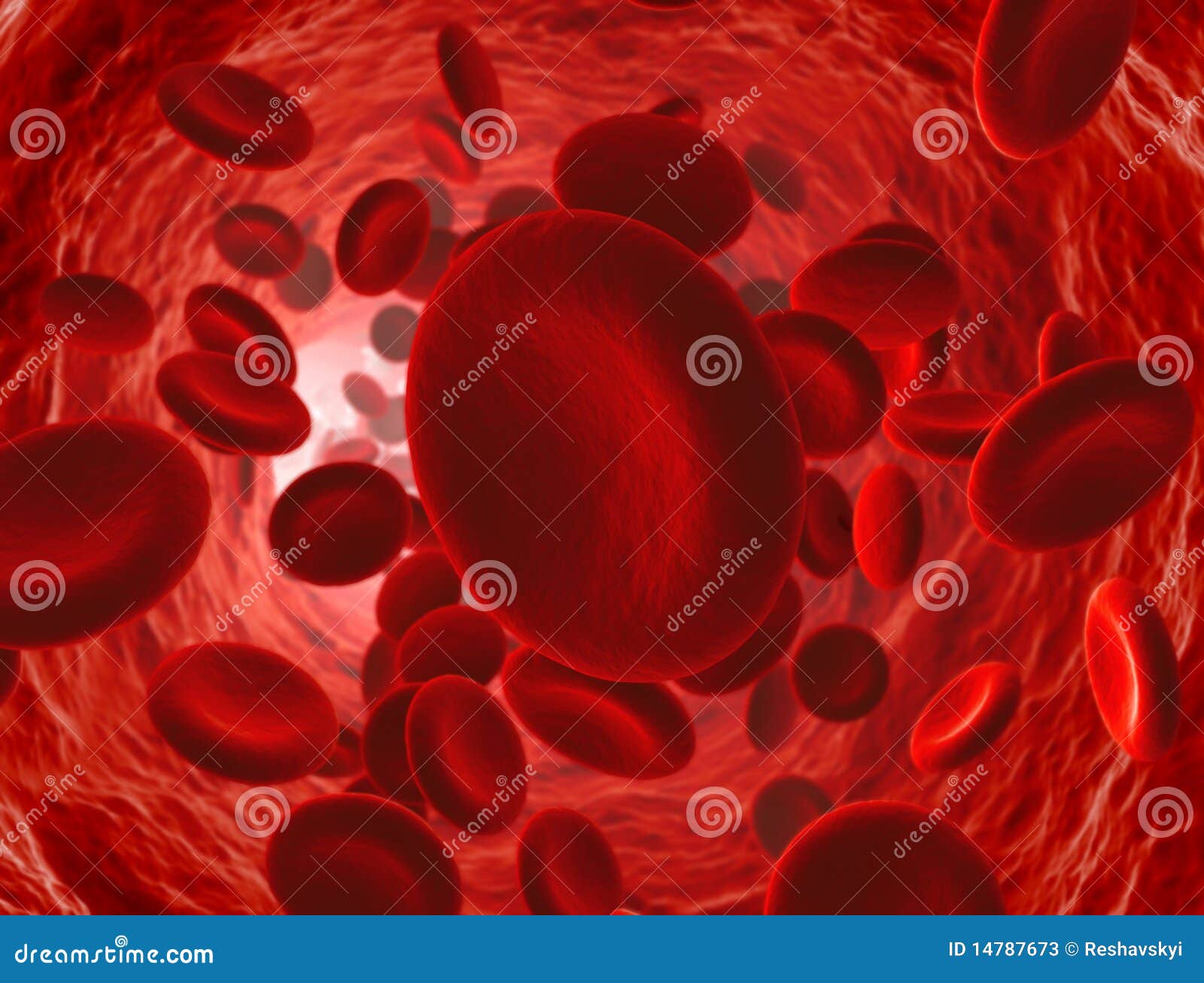 Erythrozyt stock abbildung. Illustration von mikrobiologie - 14787673