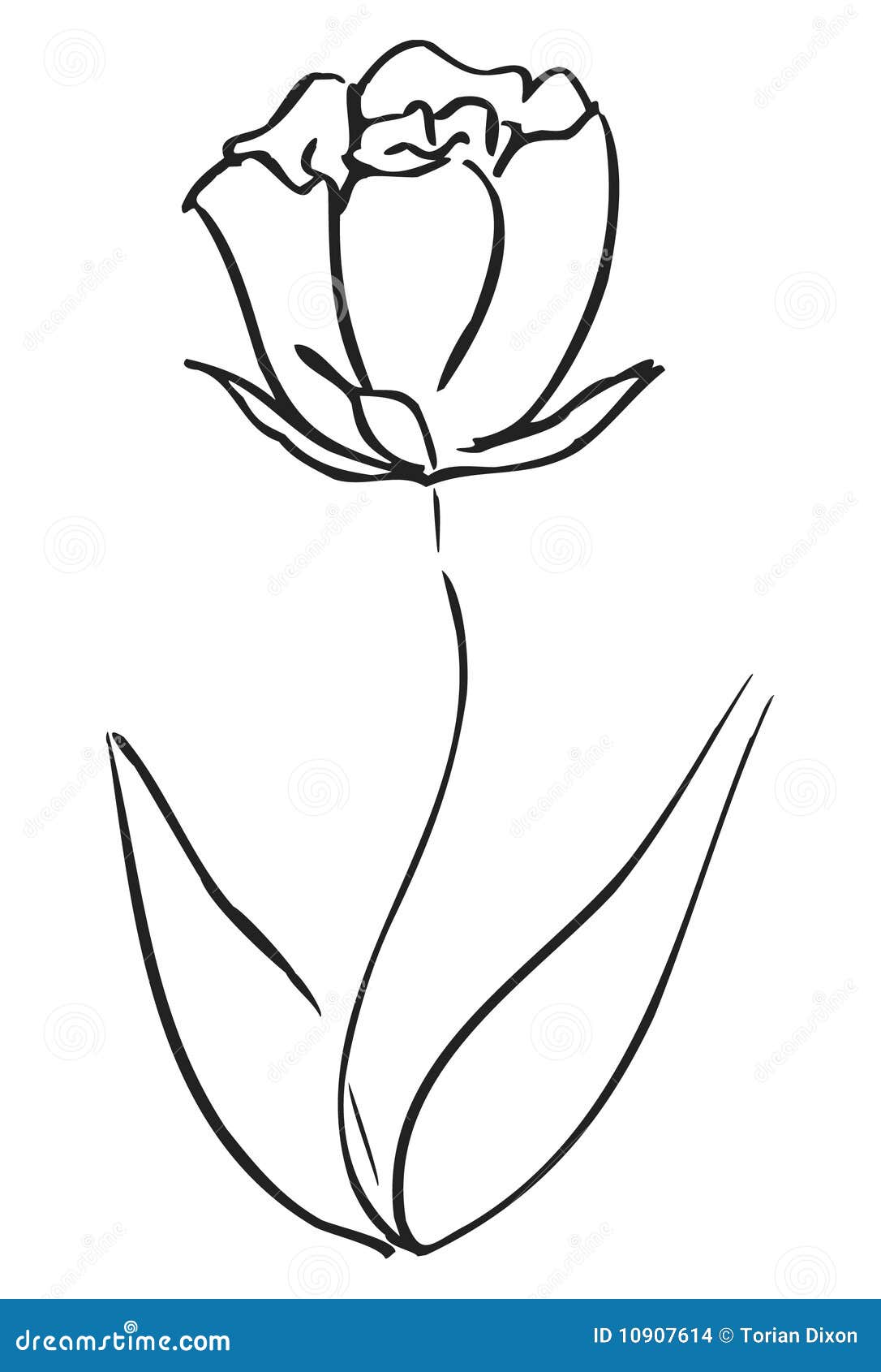 Esboço da flor ilustração do vetor. Ilustração de desenho - 10907614