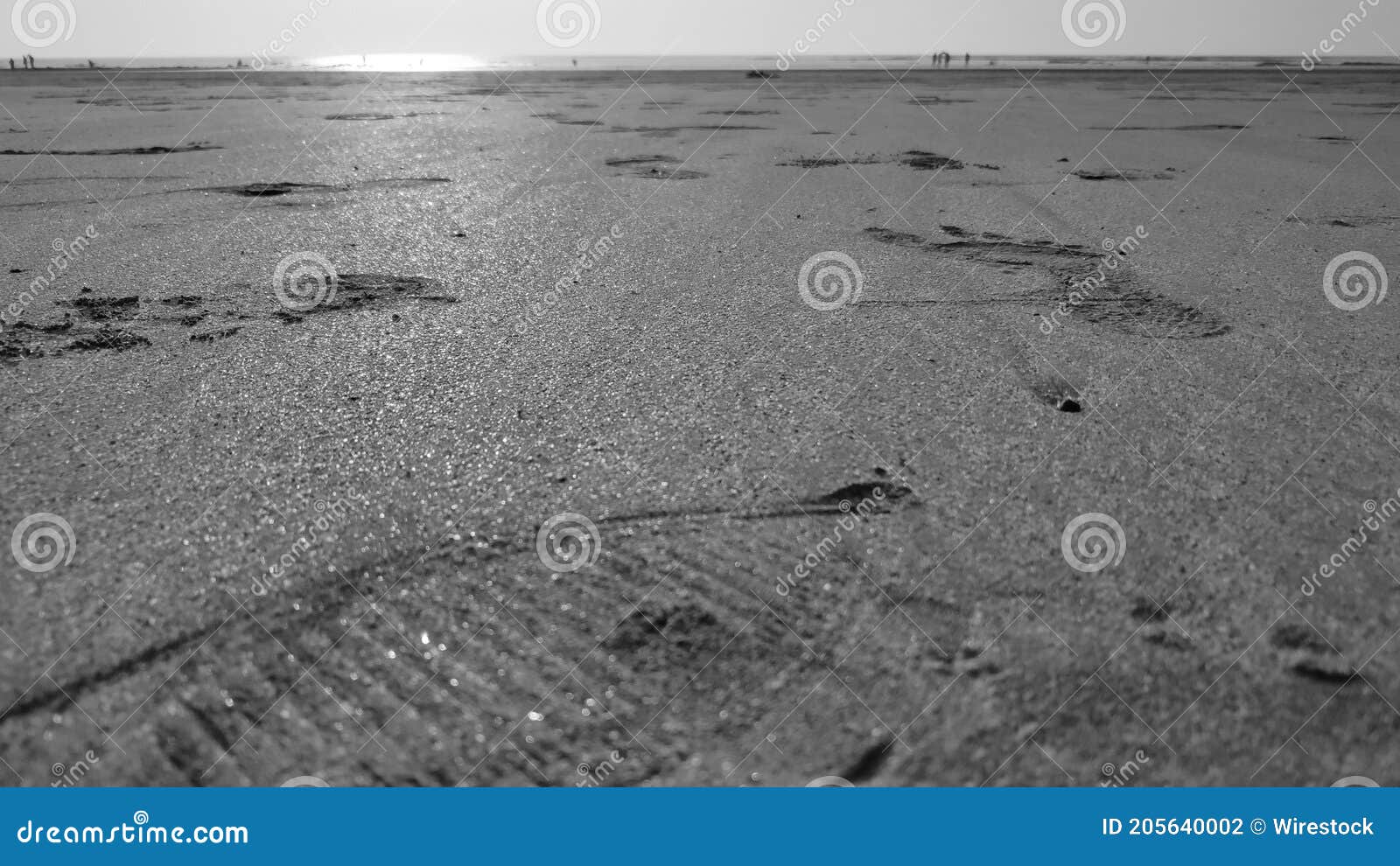 Escala Cinzenta De Areias Com Pegadas Foto de Stock - Imagem de ... Escala Cinzenta De Areias Com Pegadas Foto de Stock - Imagem de ...