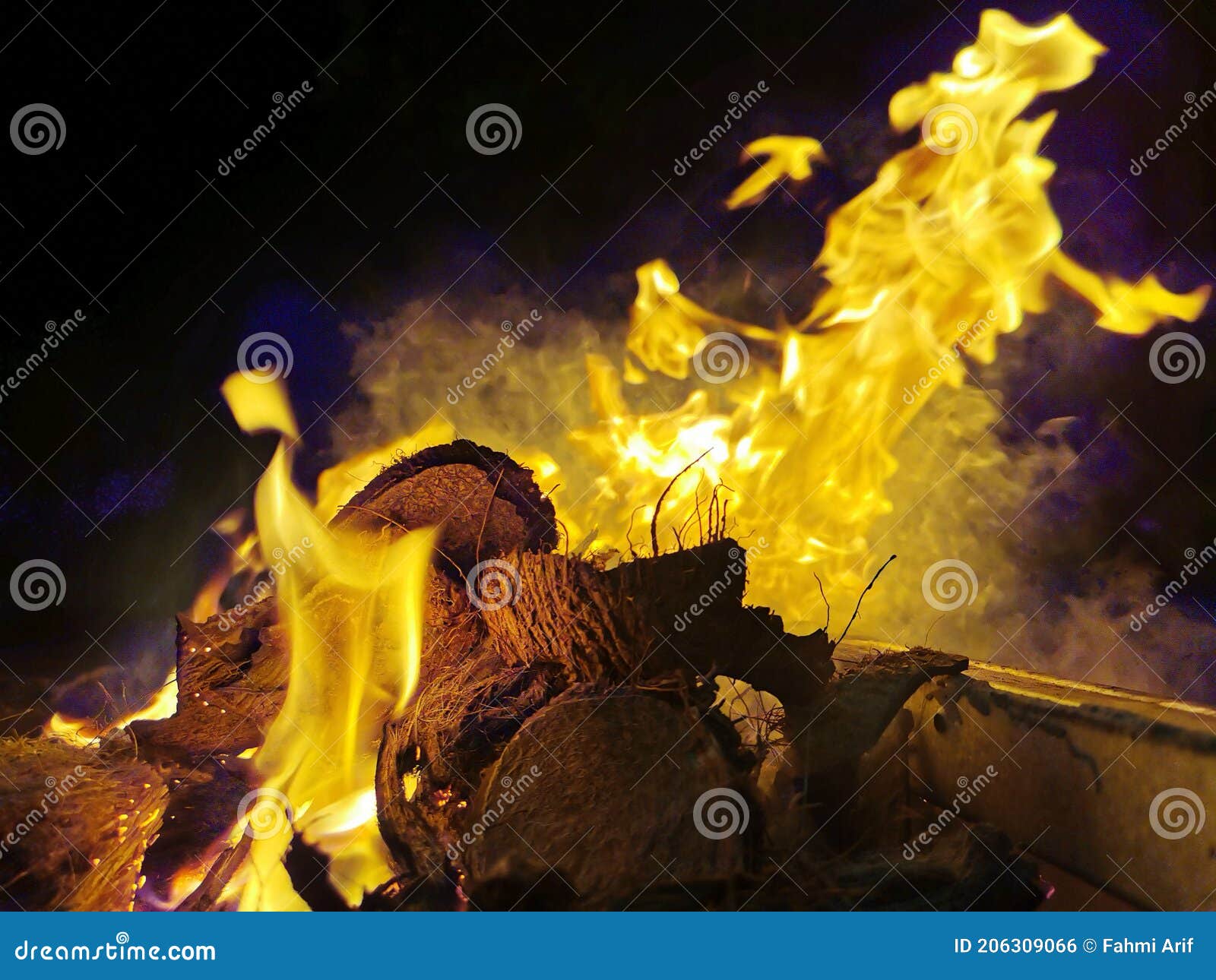 Escala de coco en llamas foto de archivo. Imagen de fuego - 206309066