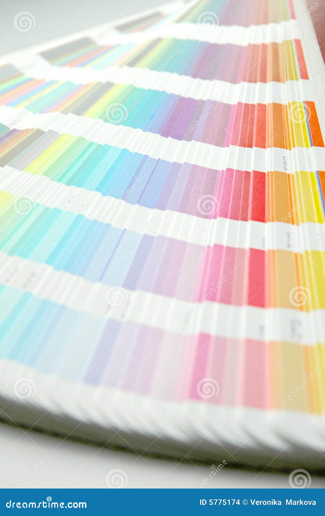 Escala De Colores Imagen. Imagen: 5775174