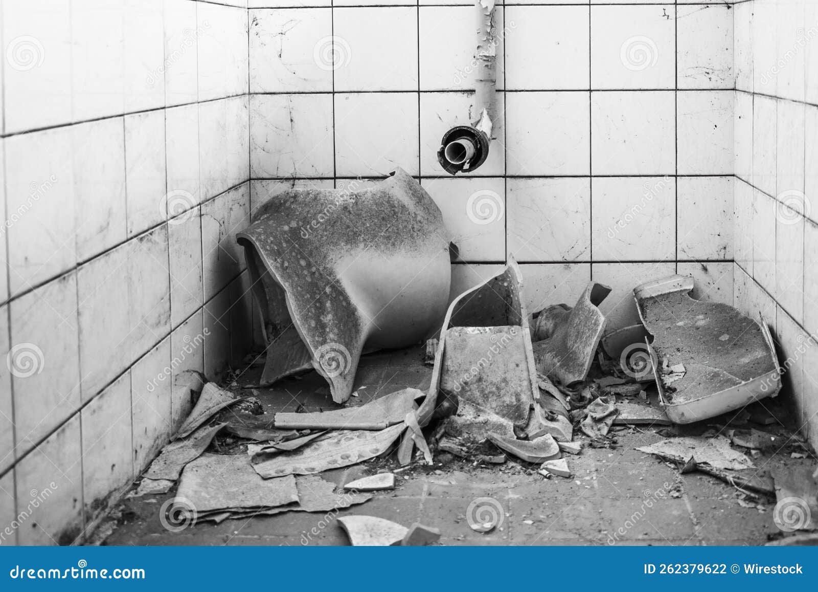 Escala De Grises De Un Inodoro Roto Foto de archivo - Imagen de casero ...