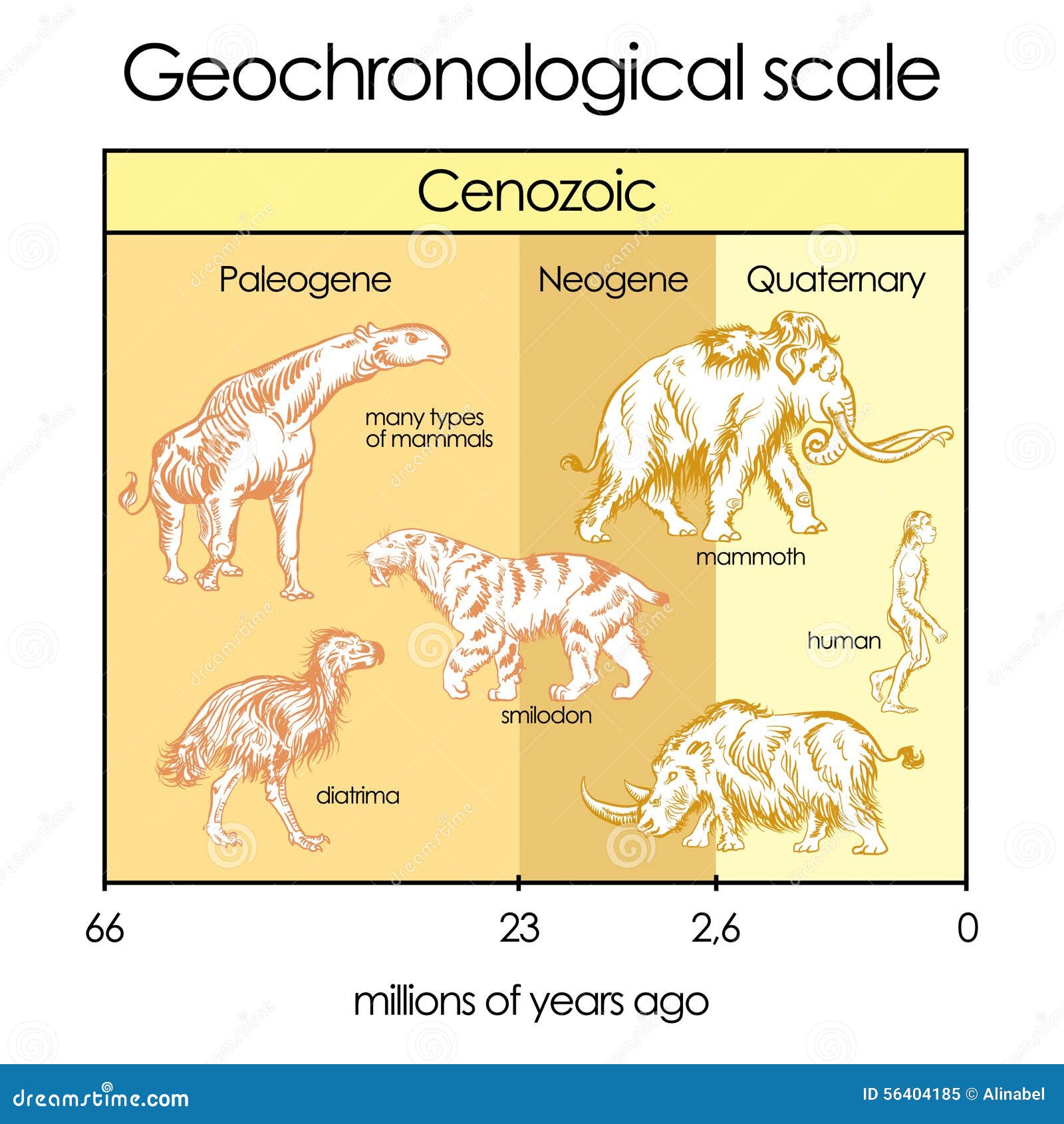 Escala Geochronological Parte 5 - Eternidade Cenozoic Ilustração do ...