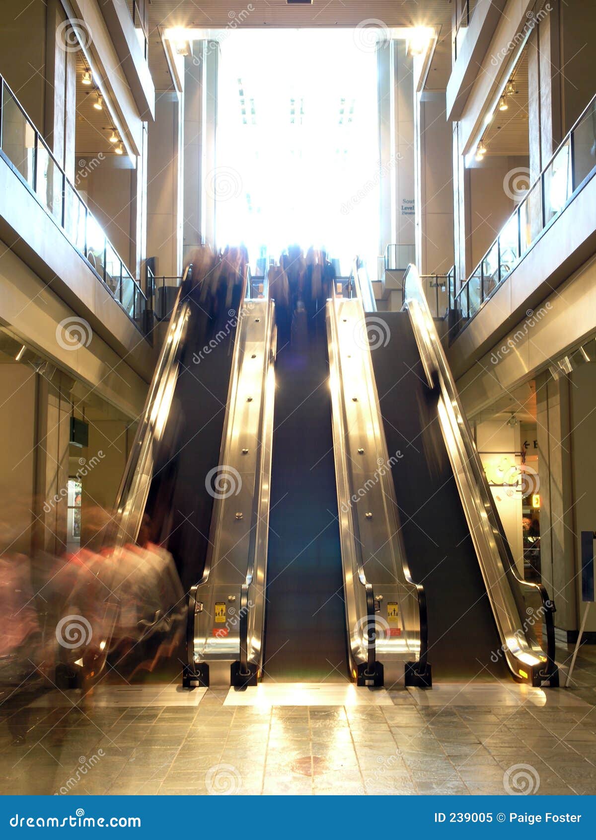 Escalators stock image. Image of railing, modern, perspective - 239005