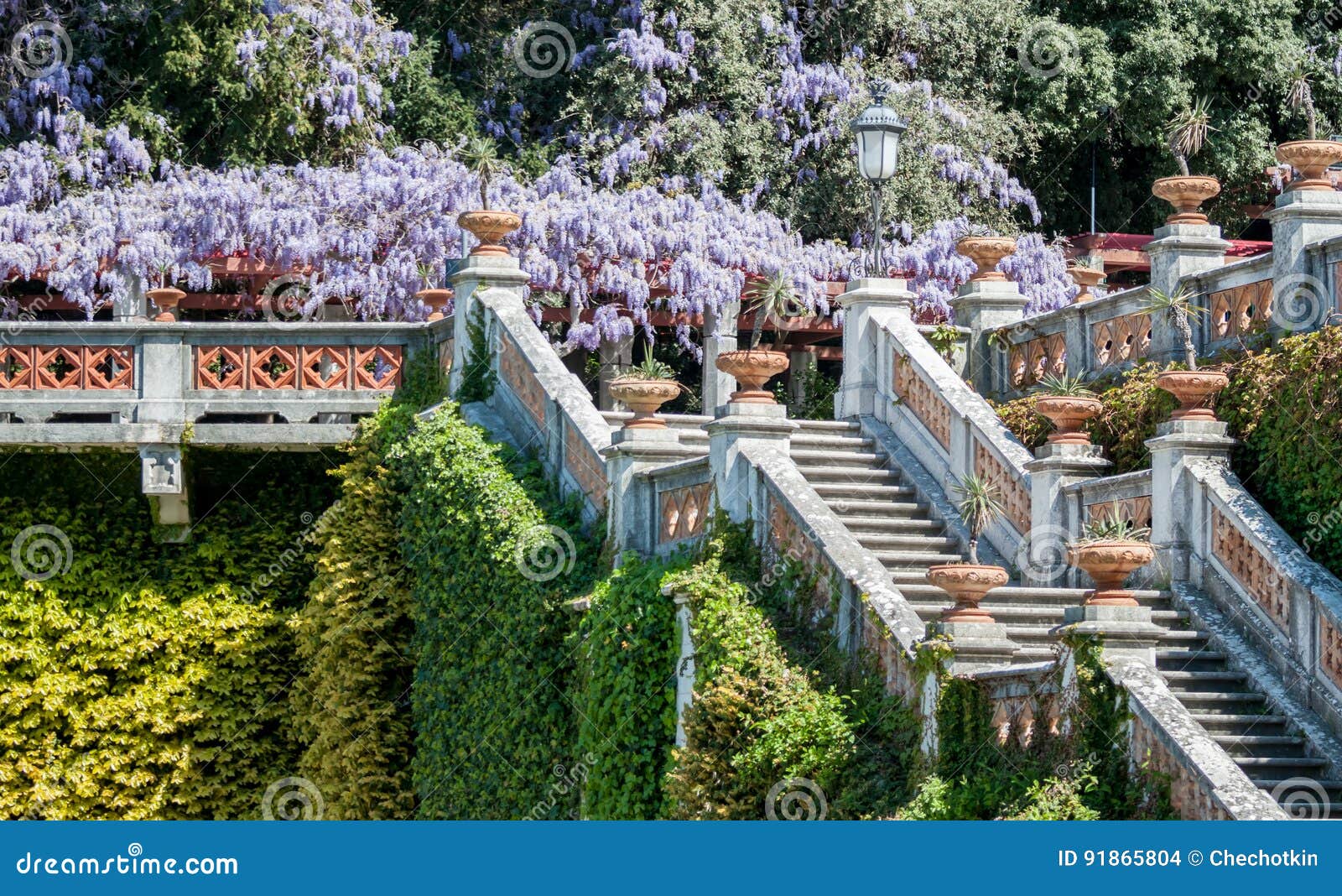Escalera Real En Glicinia Floreciente Del Castillo Foto de archivo ...