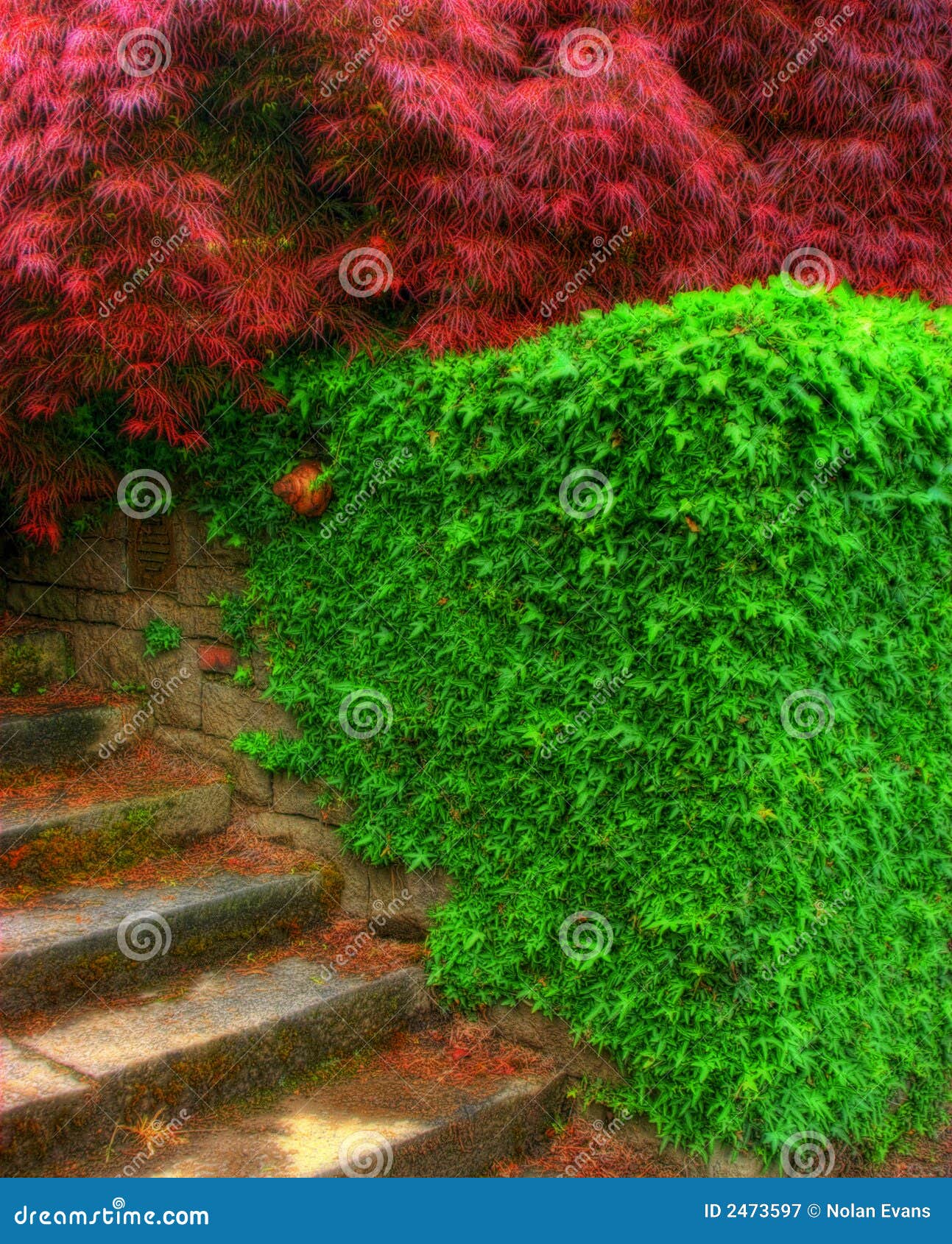 Escaleras surrealistas imagen de archivo. Imagen de escaleras - 2473597