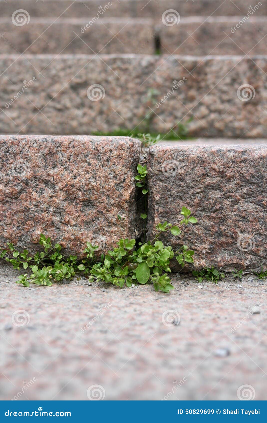 Escaleras y la tierra imagen de archivo. Imagen de tierra - 50829699