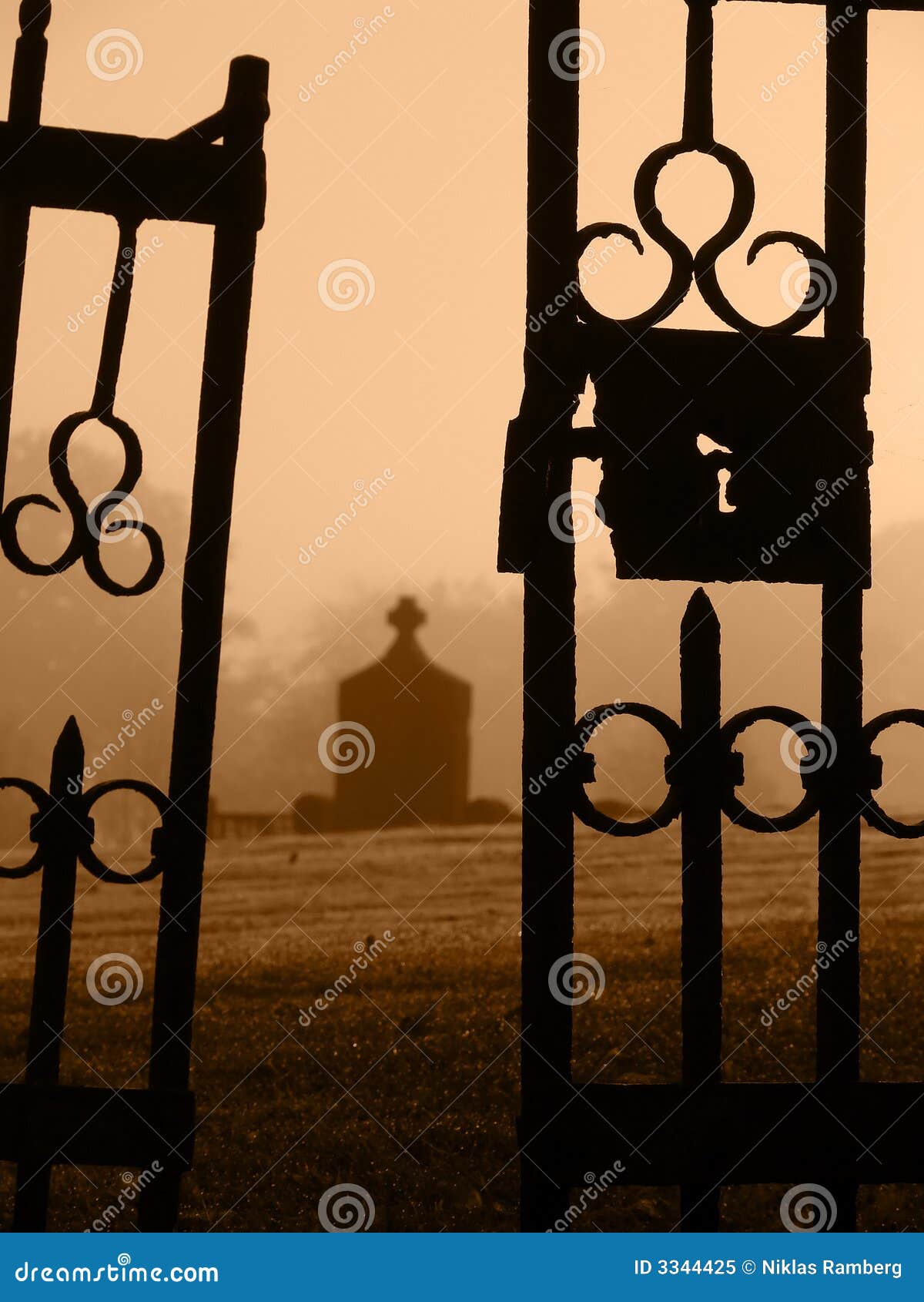Escaped from the Grave stock image. Image of gates, gate - 3344425