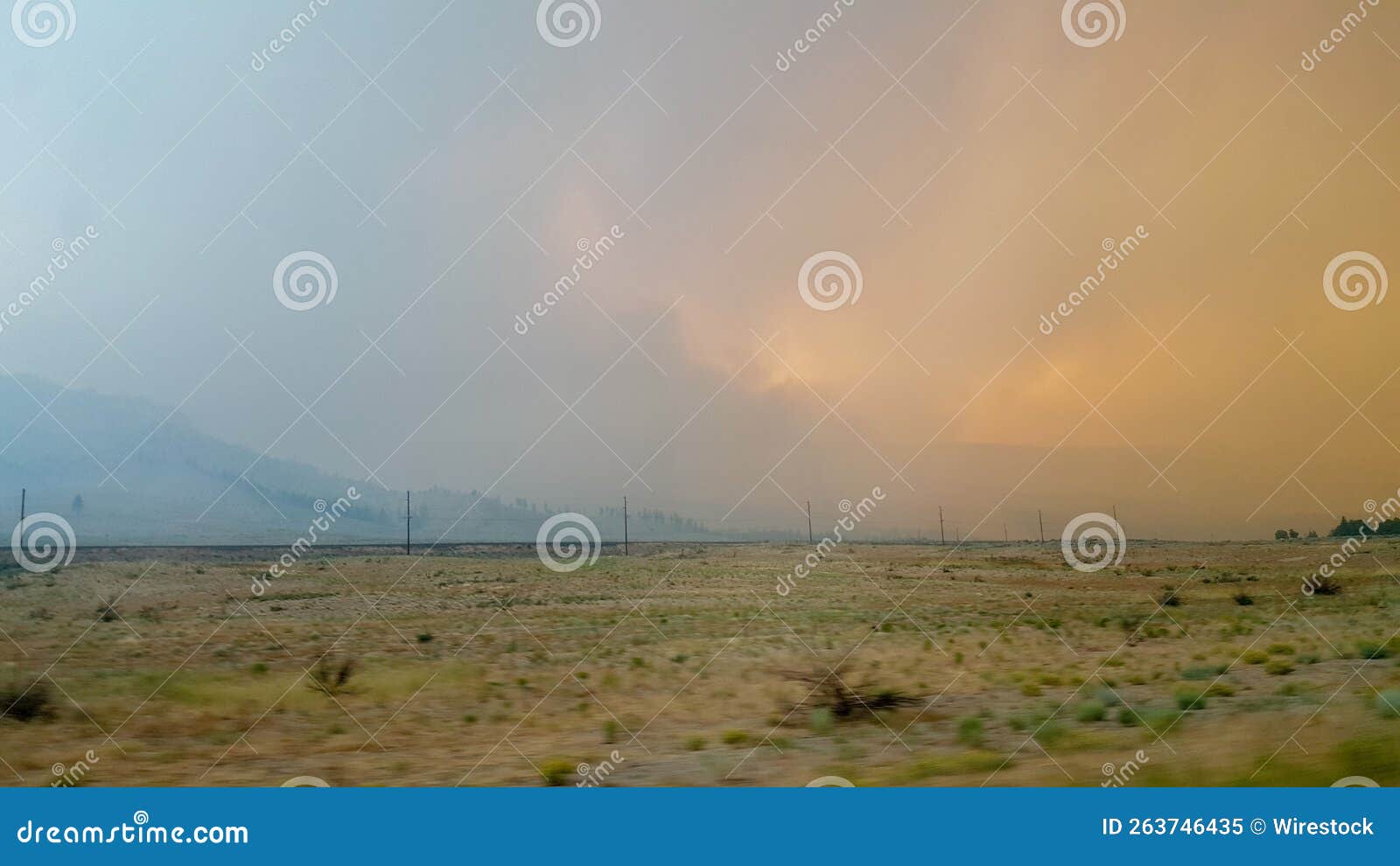 Escaping the Smoky Wildfire Stock Image - Image of nature, outdoor ...