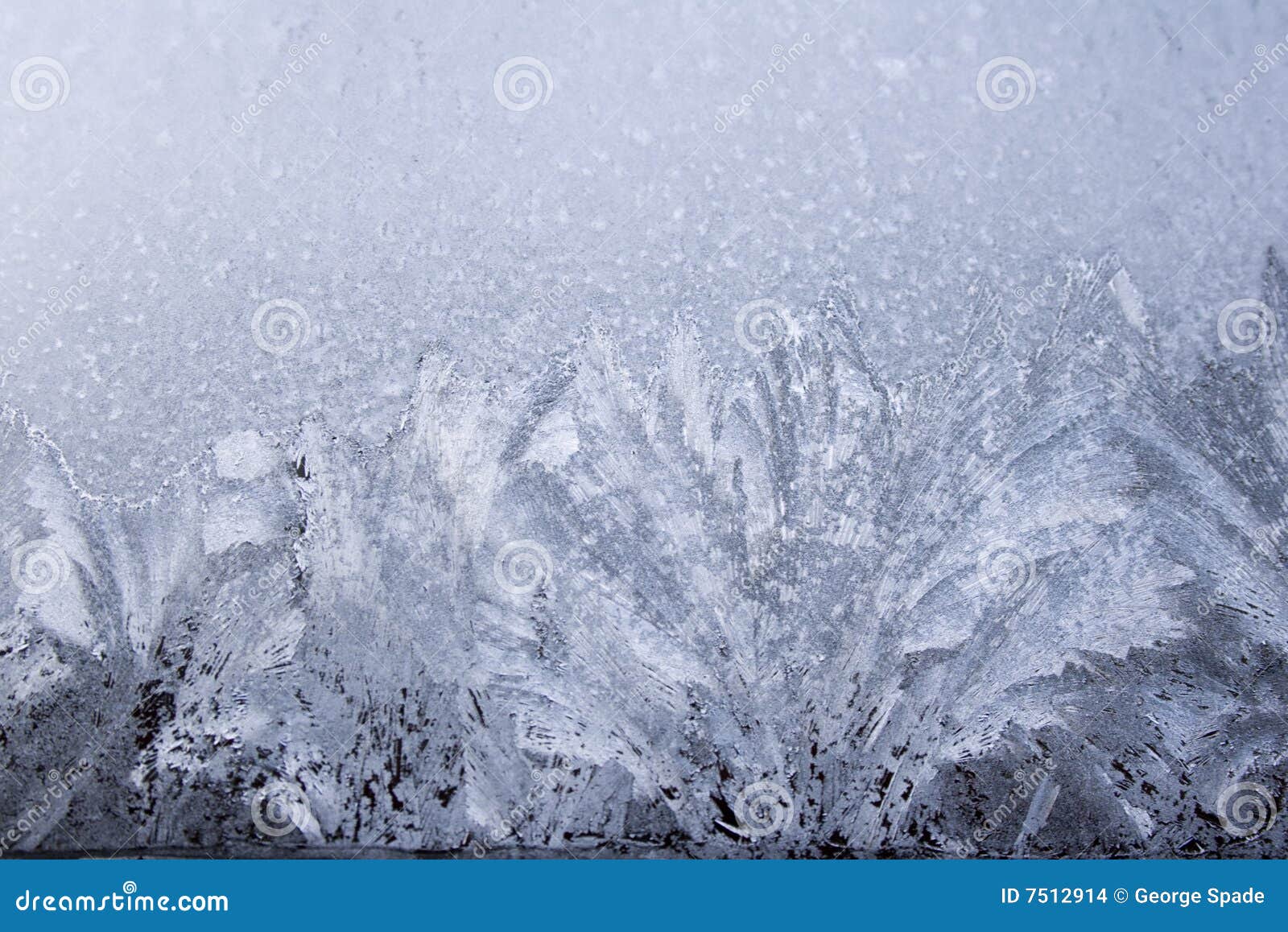 Escarcha foto de archivo. Imagen de fresco, extracto, brillante - 7512914
