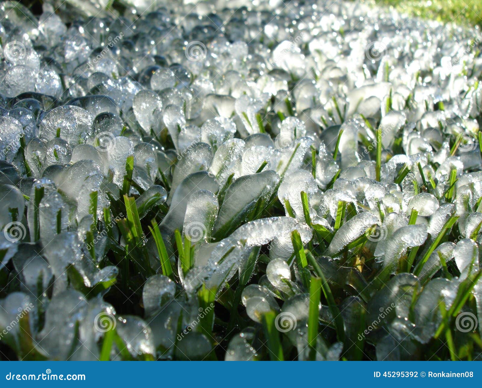 Escarchado foto de archivo. Imagen de escarchado, pureza - 45295392