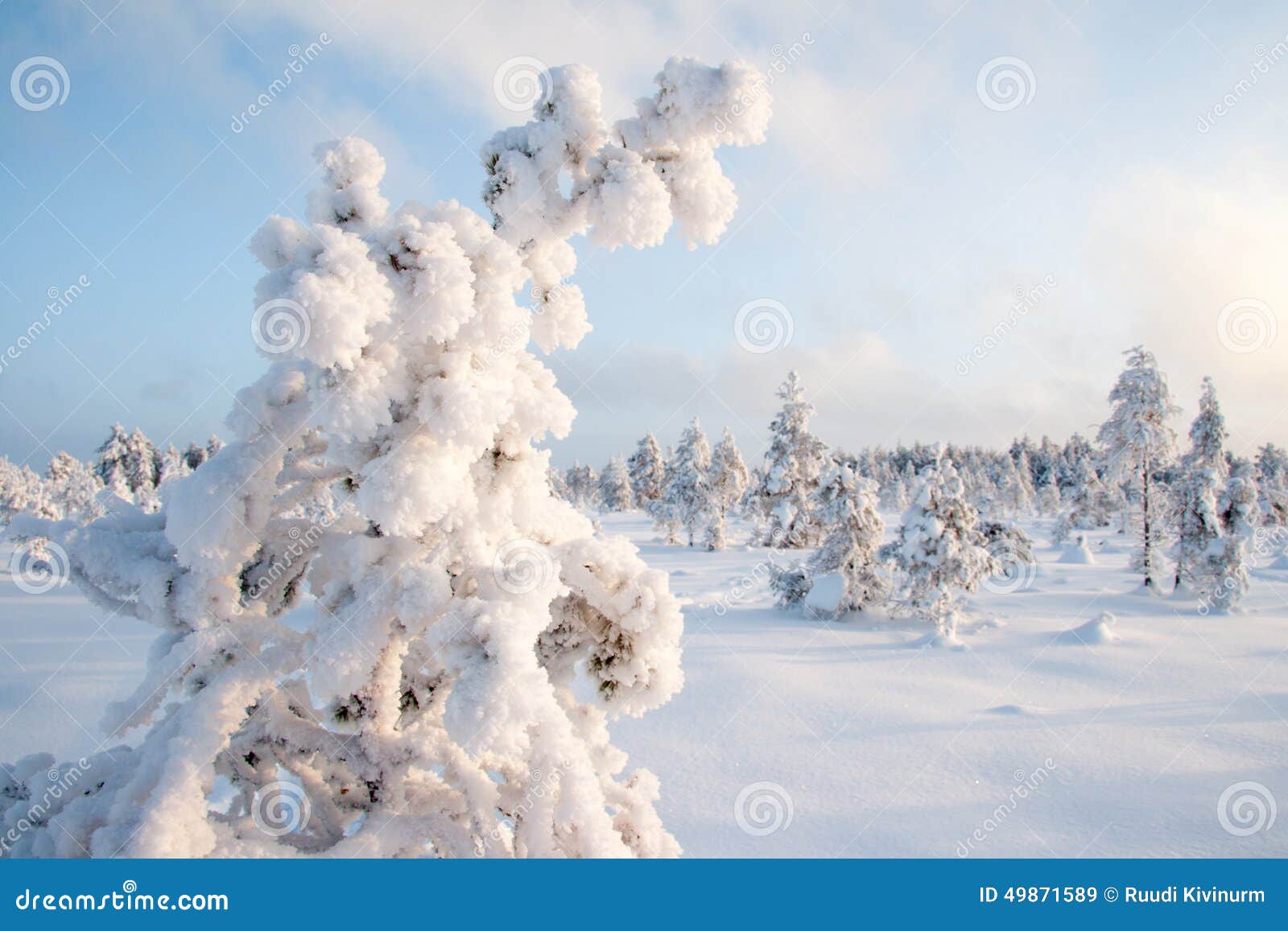 Escarchado imagen de archivo. Imagen de helado, escénico - 49871589