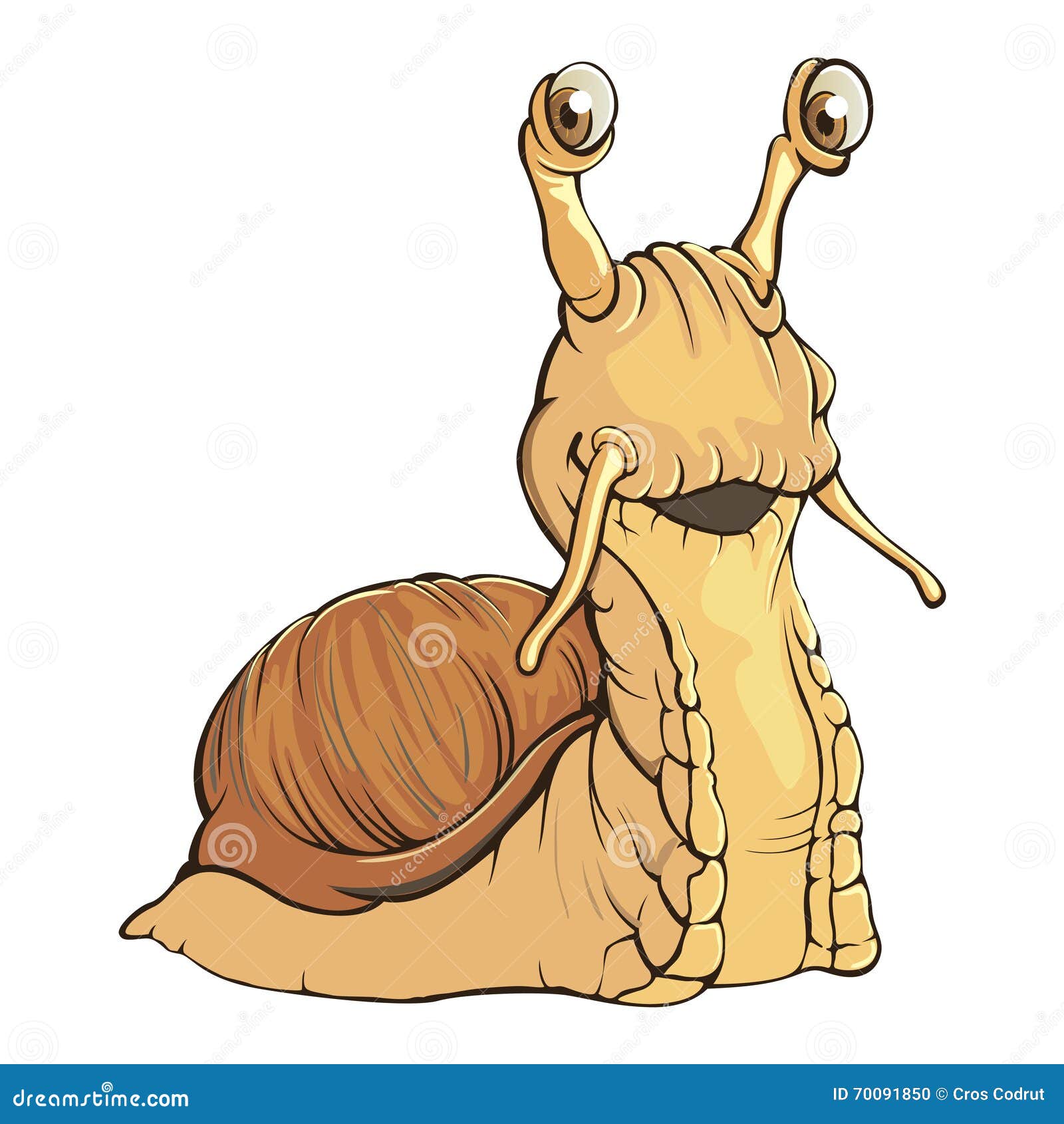 Escargot illustration de vecteur. Illustration du coque - 70091850