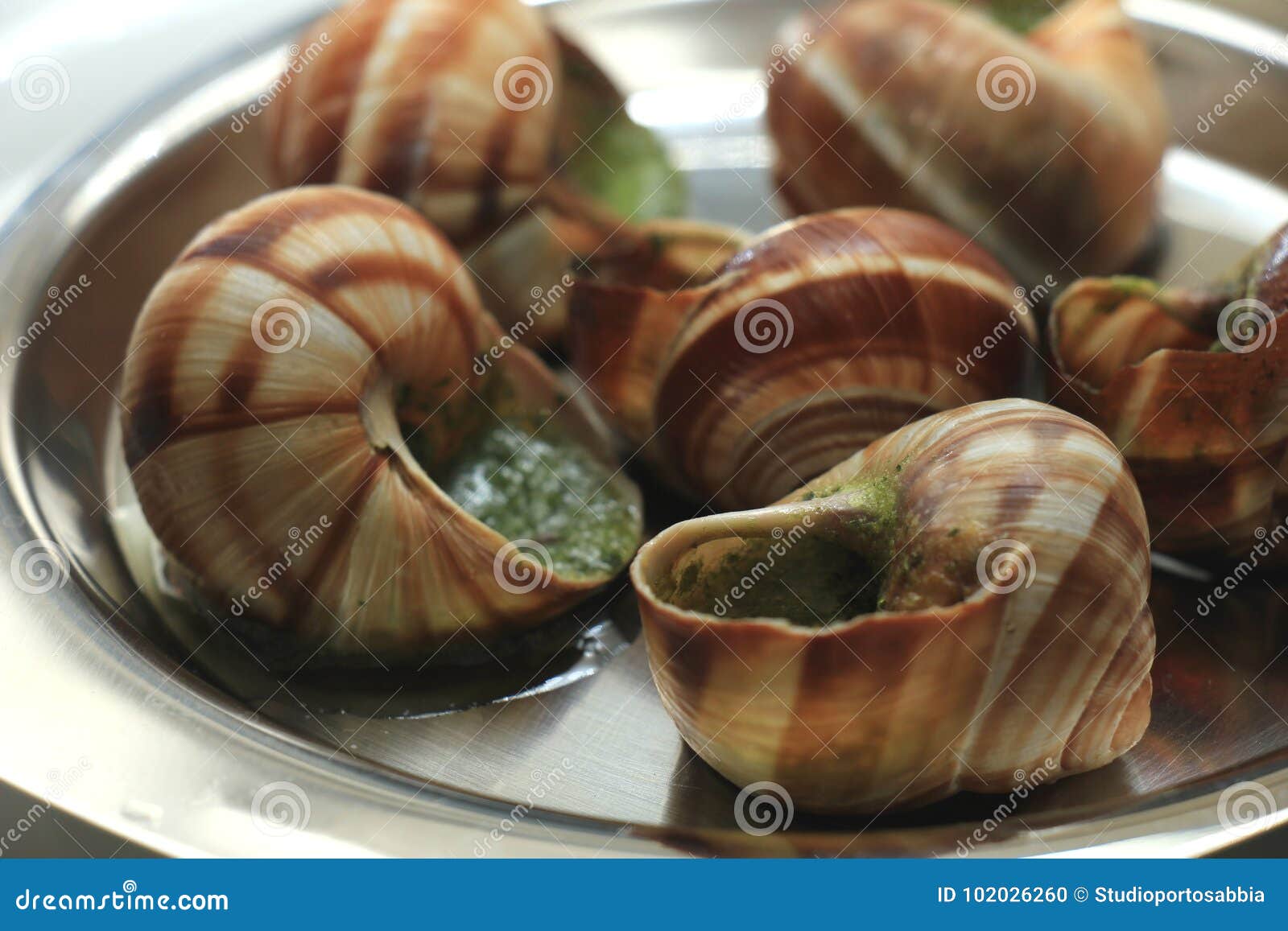 Escargot de Bourgogne foto de stock. Imagem de salsa - 102026260
