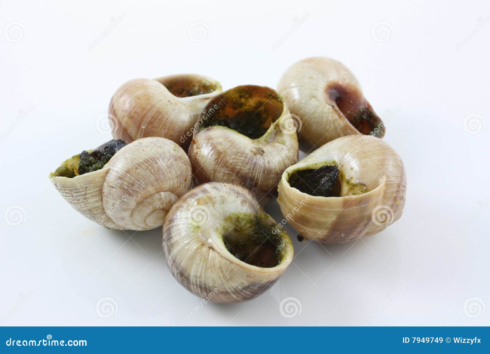 Escargot isolated on white stock image. Image of shells - 7949749