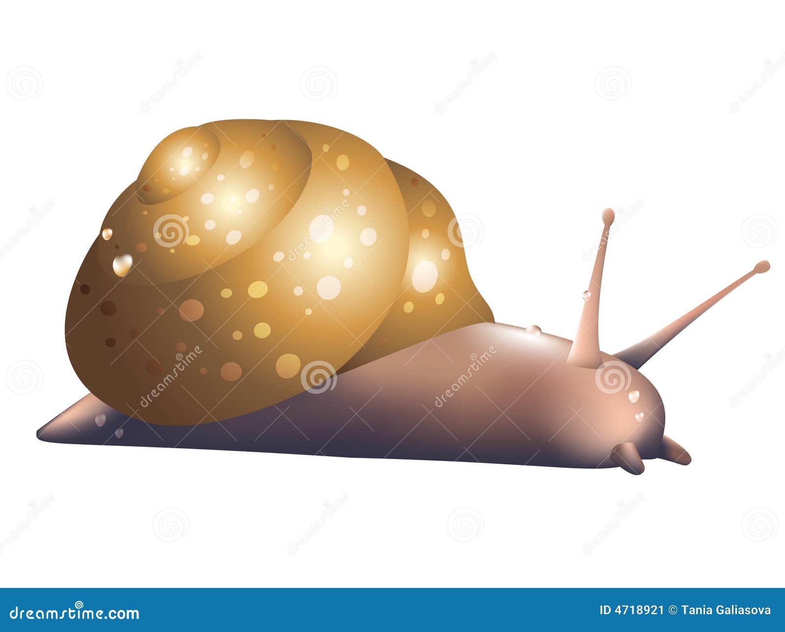 Escargot lent illustration de vecteur. Illustration du nature - 4718921
