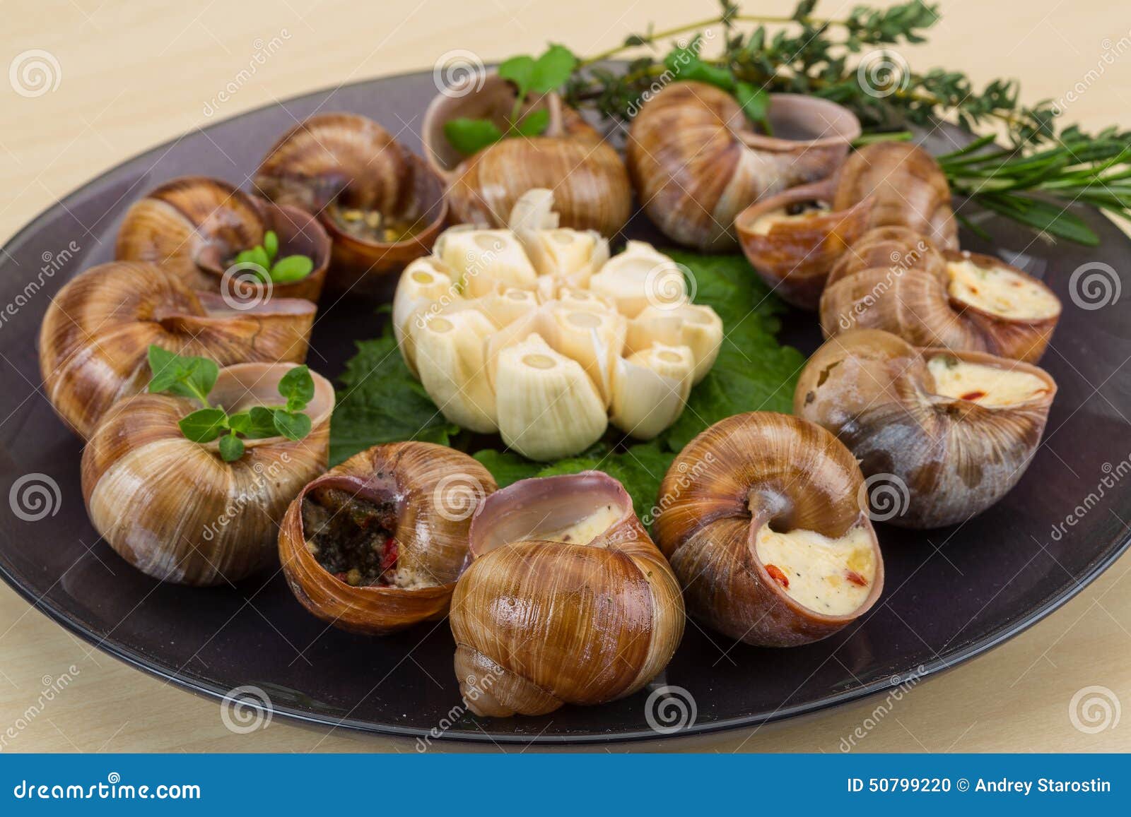 Escargot stock photo. Image of shell, cooking, prepared - 50799220