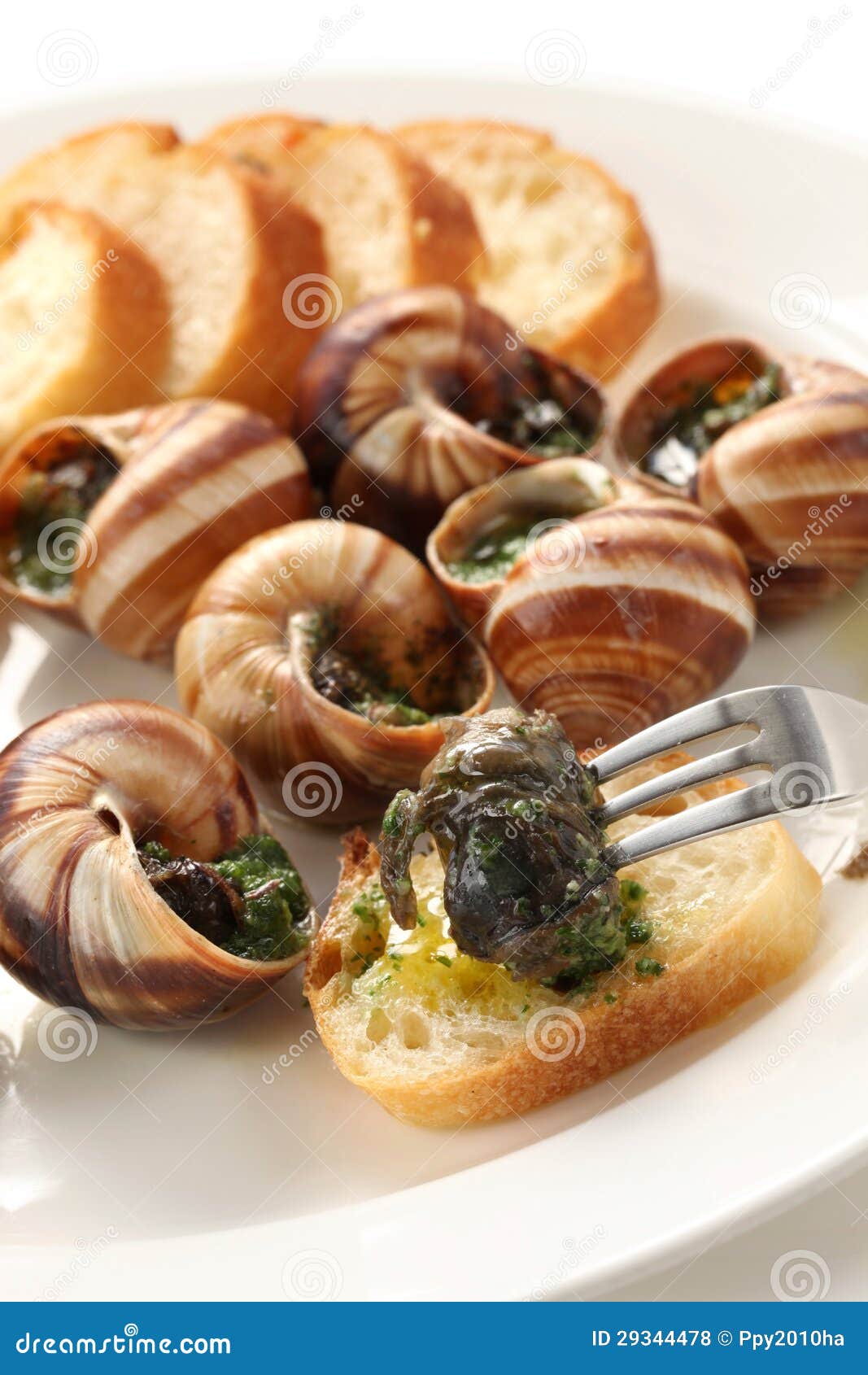Escargot, Snails a La Bourguignonne Stock Photo - Image of gastronomy ...