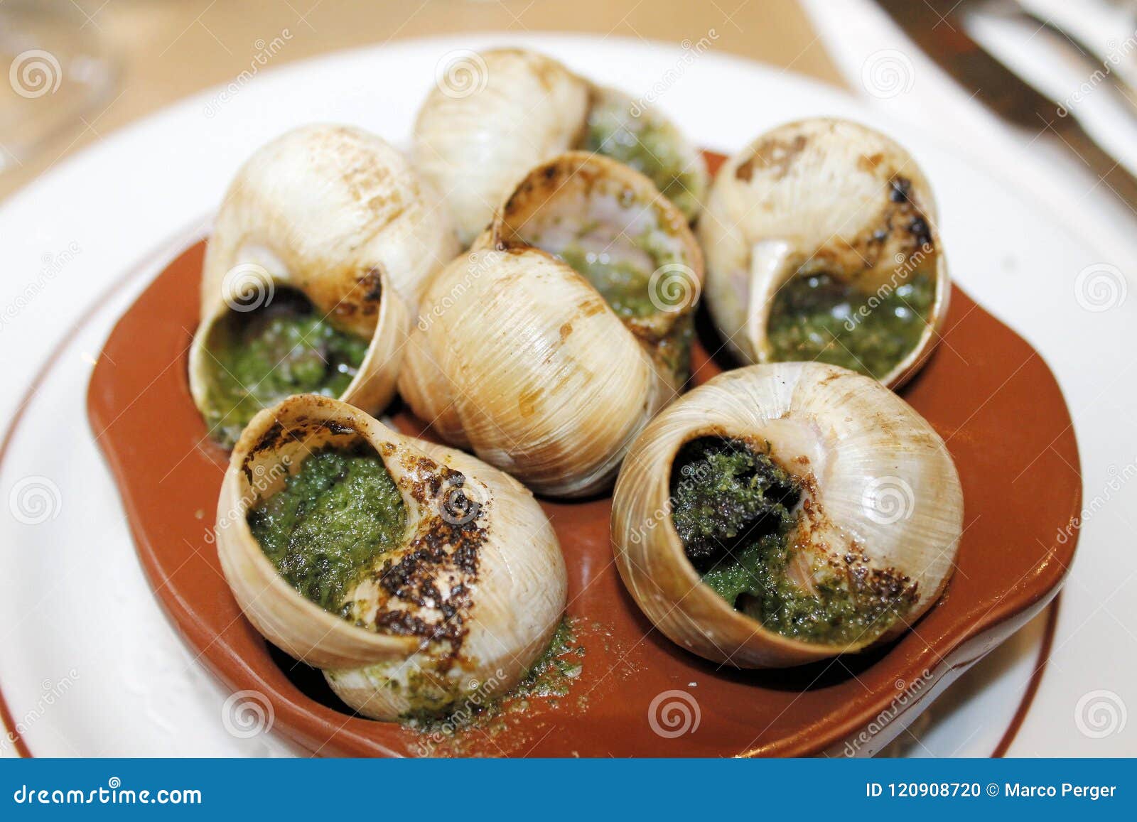 Escargots fotografia stock. Immagine di aglio, escarote - 120908720