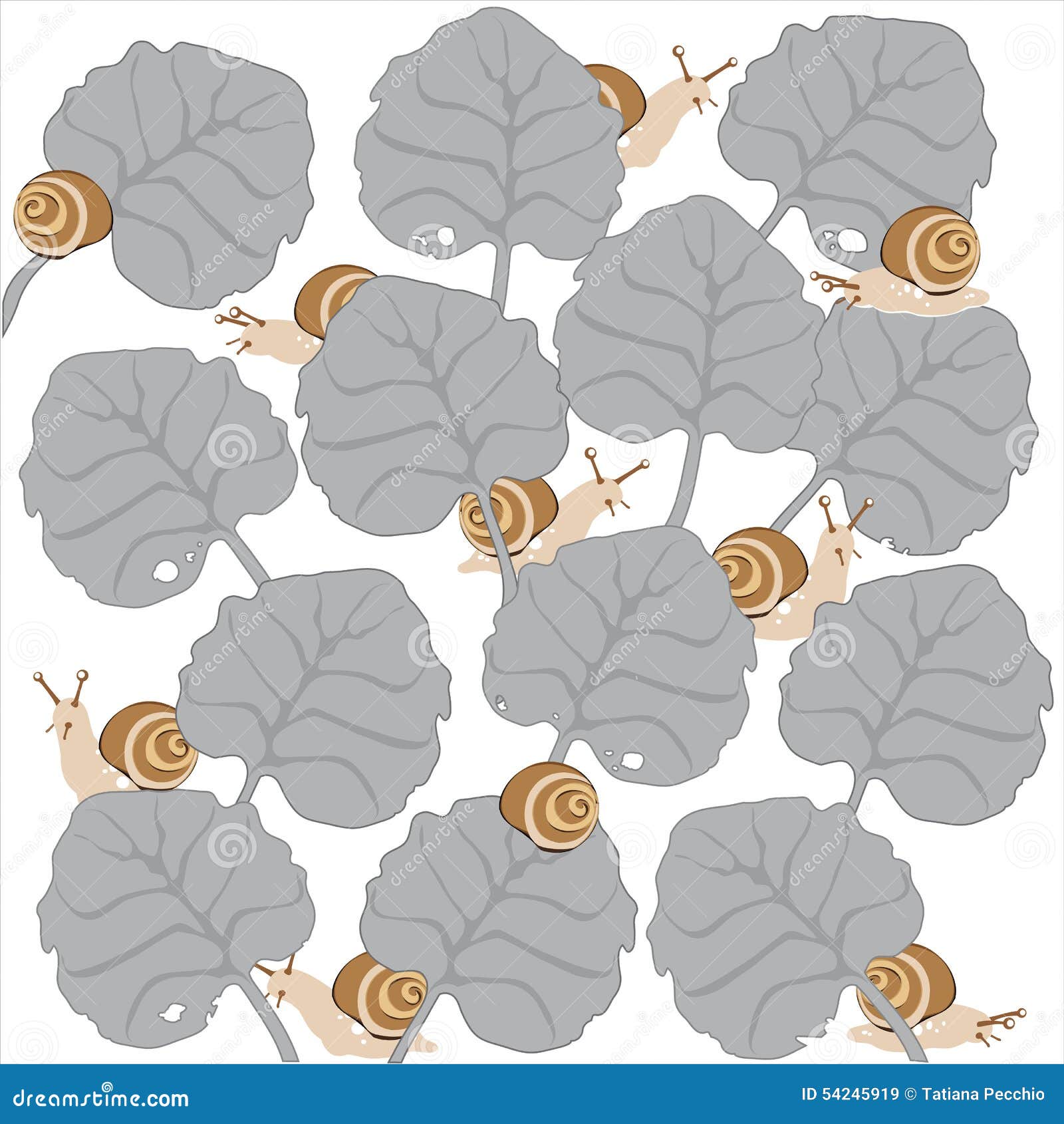 Escargots de texture illustration stock. Illustration du coquillages ...