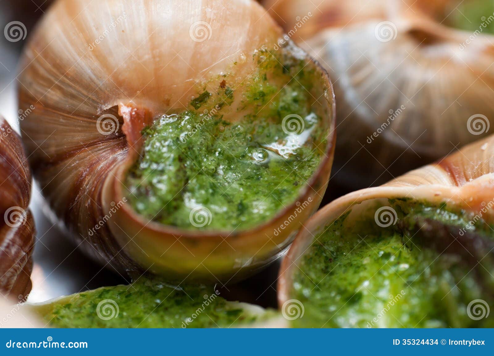Escargots with Garlic Butter Stock Photo - Image of french, gourmet ...