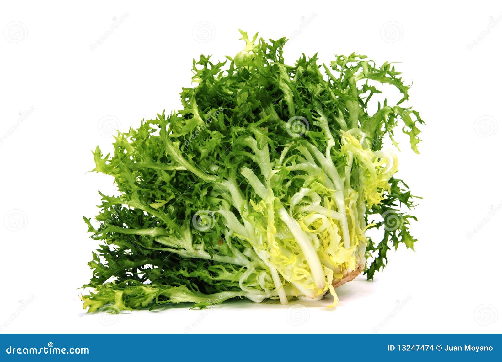 Escarole Endive With Romesco Sauce, A Typical Salad From Catalonia ...