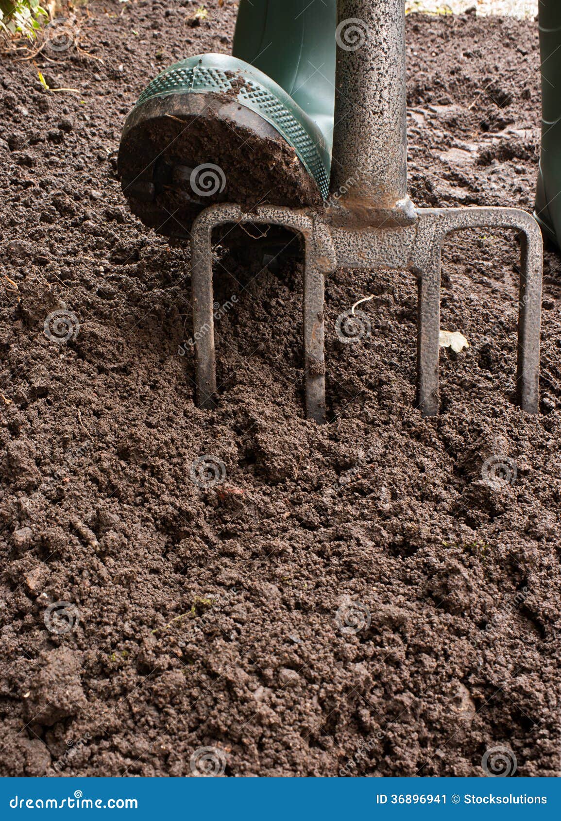 Escavando o jardim imagem de stock. Imagem de jardinar - 36896941