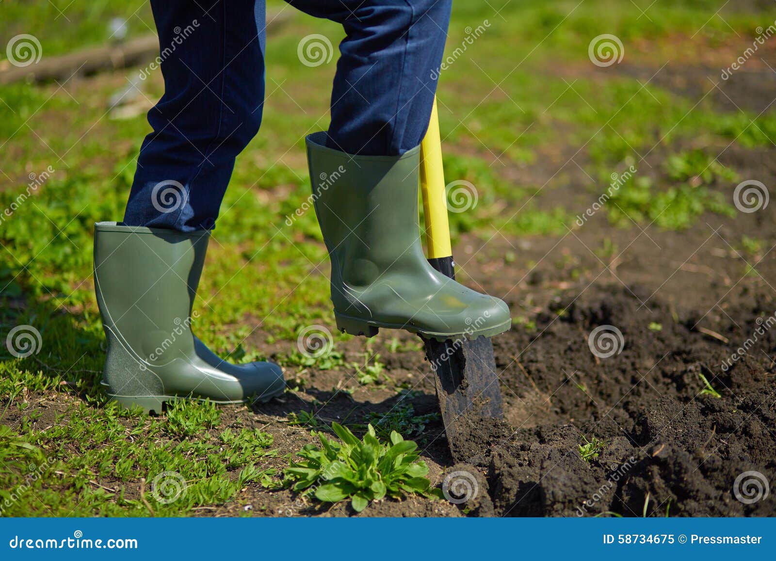 Escavar imagem de stock. Imagem de luva, mola, campo - 58734675