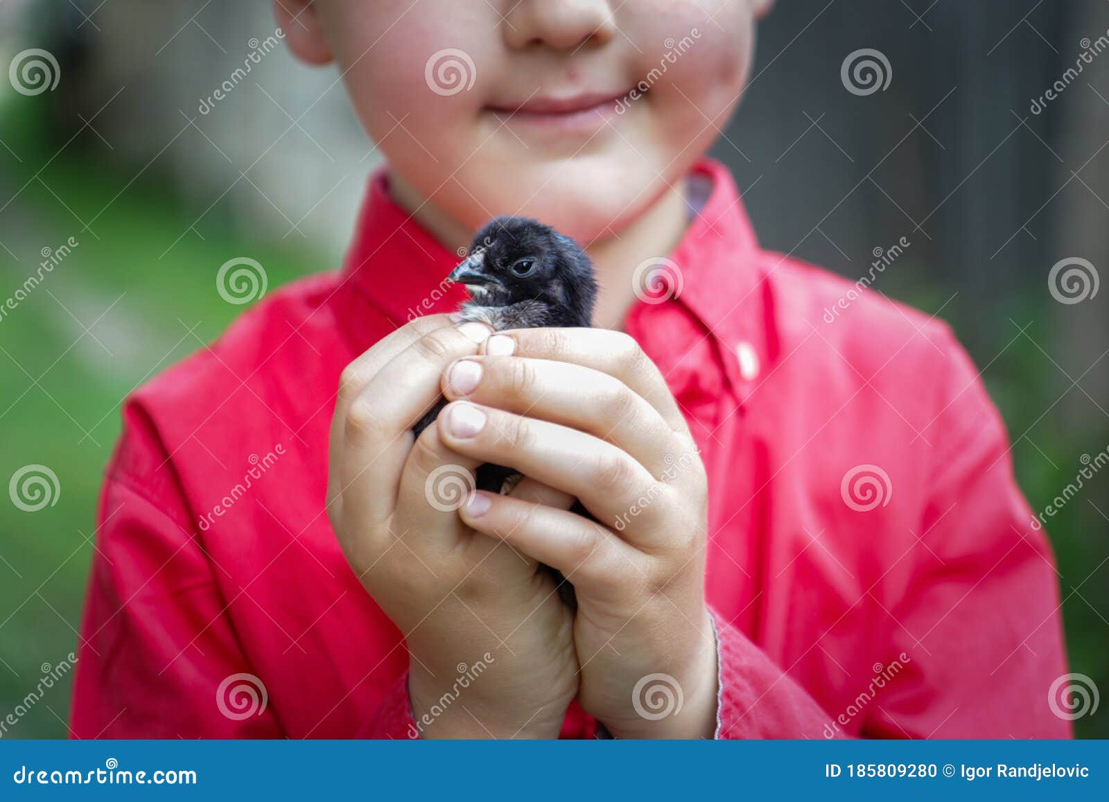 Escena Adorable De Un Niño Sonriente Sosteniendo En Sus Manos Un ... Escena Adorable De Un Niño Sonriente Sosteniendo En Sus Manos Un ...