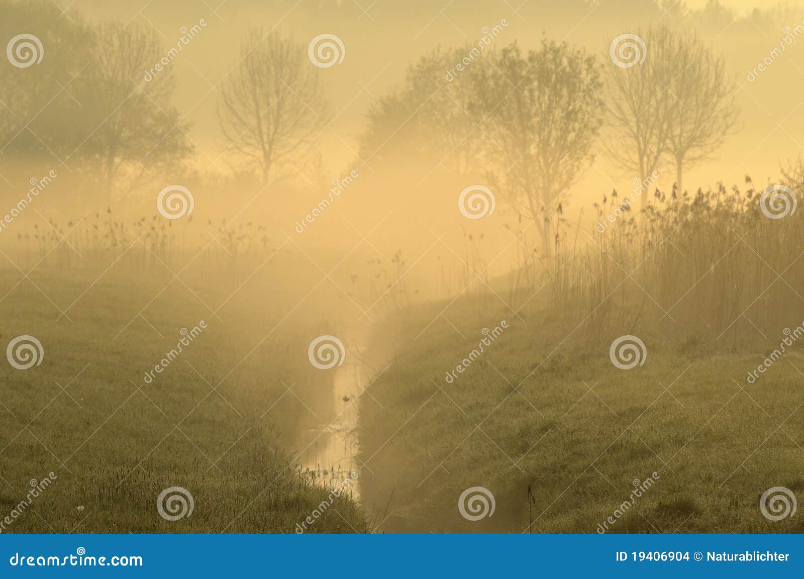 Escena brumosa del campo foto de archivo. Imagen de sunset - 19406904