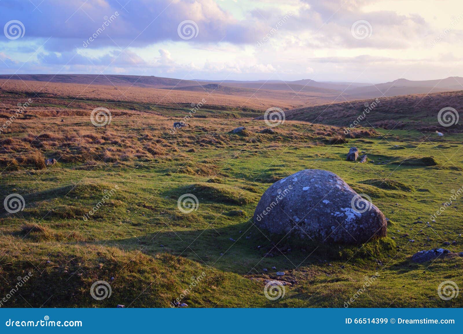 Escena de la paramera imagen de archivo. Imagen de parque - 66514399