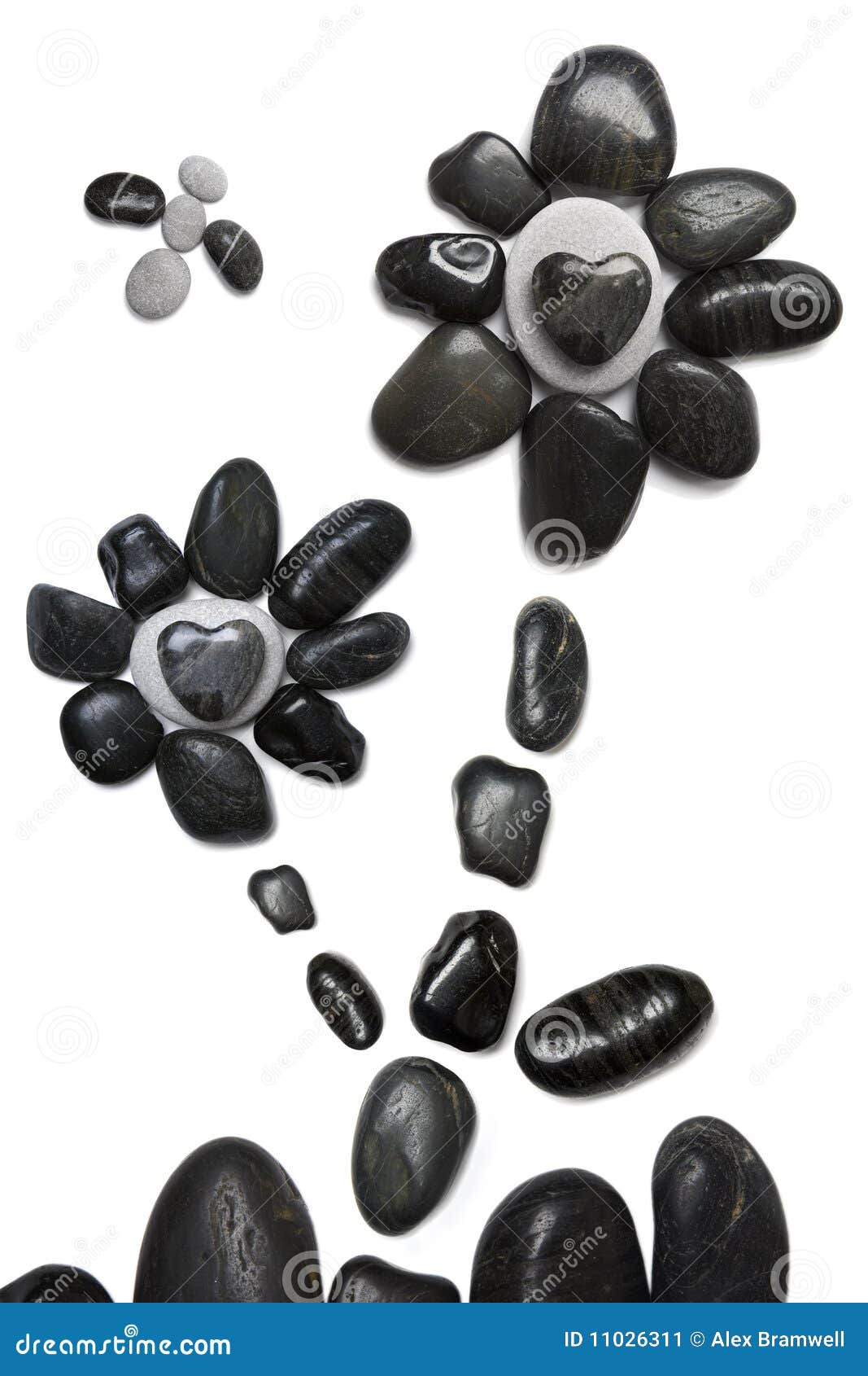 Escena De Piedra De La Flor Imagen de archivo - Imagen de cuidado ...